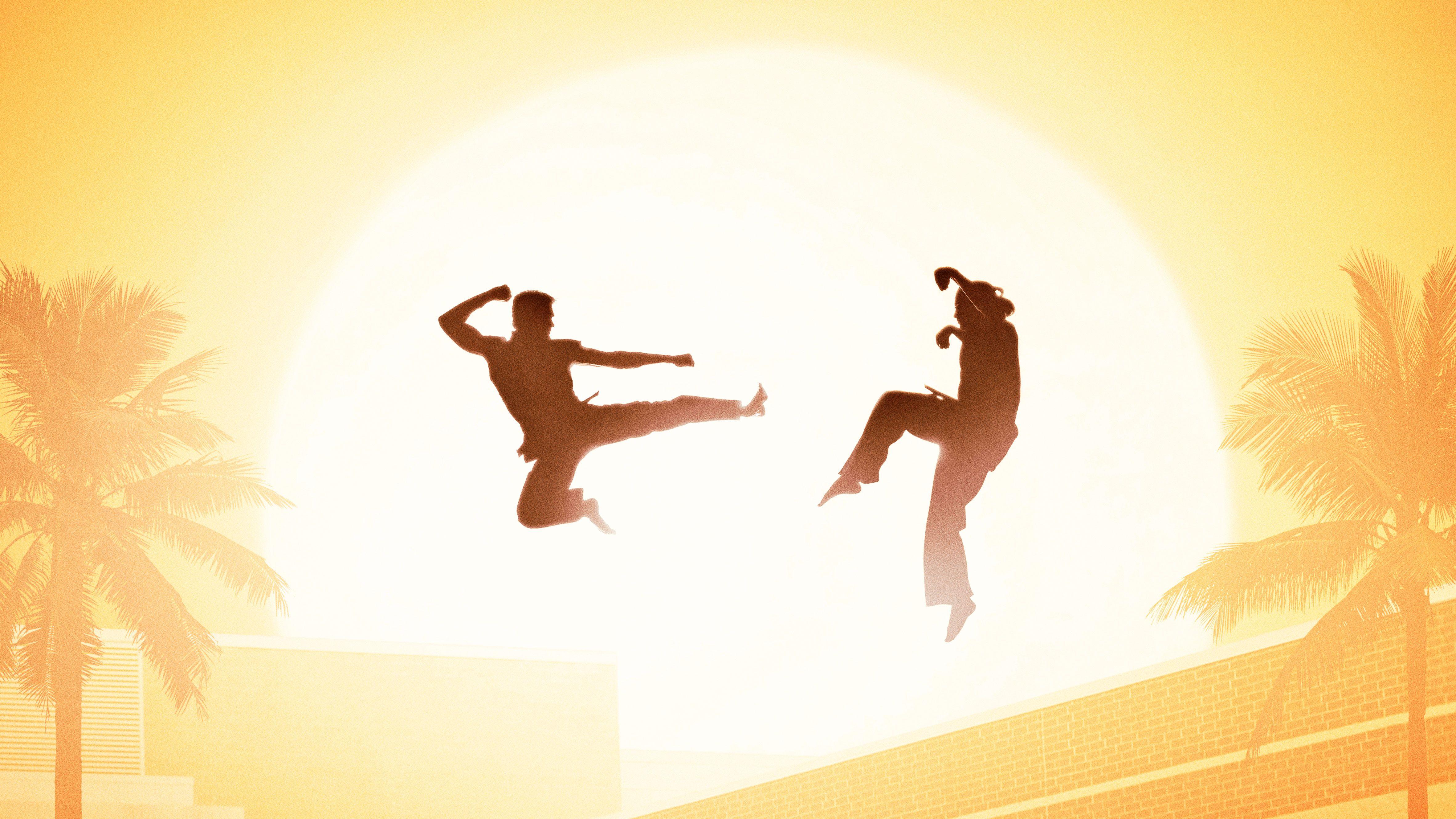 Miyagi-Do Wallpapers - Top Free Miyagi-Do Backgrounds - WallpaperAccess