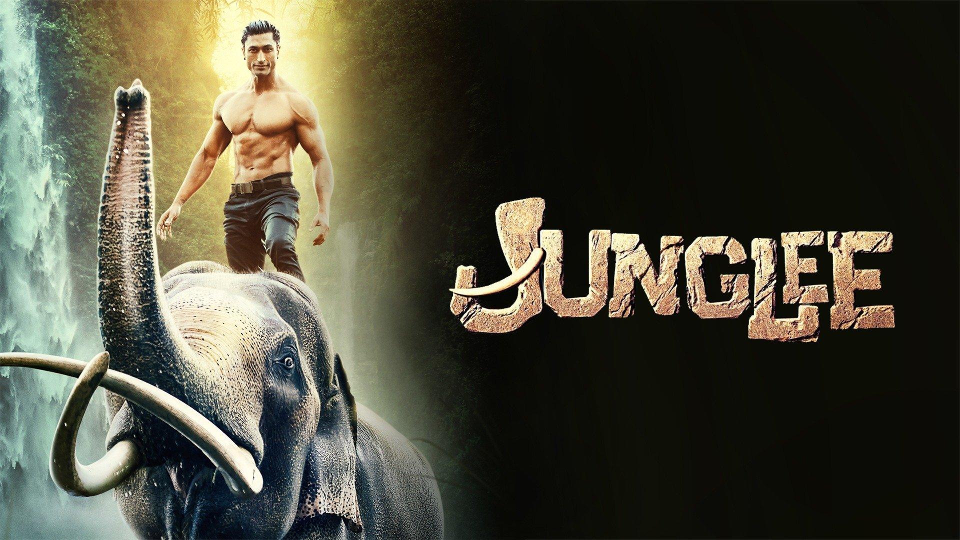 Junglee Wallpapers - Top Free Junglee Backgrounds - WallpaperAccess
