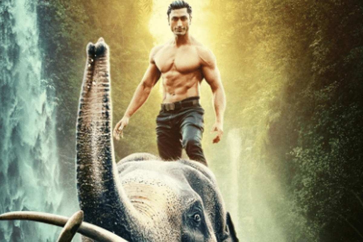 Junglee Wallpapers - Top Free Junglee Backgrounds - WallpaperAccess