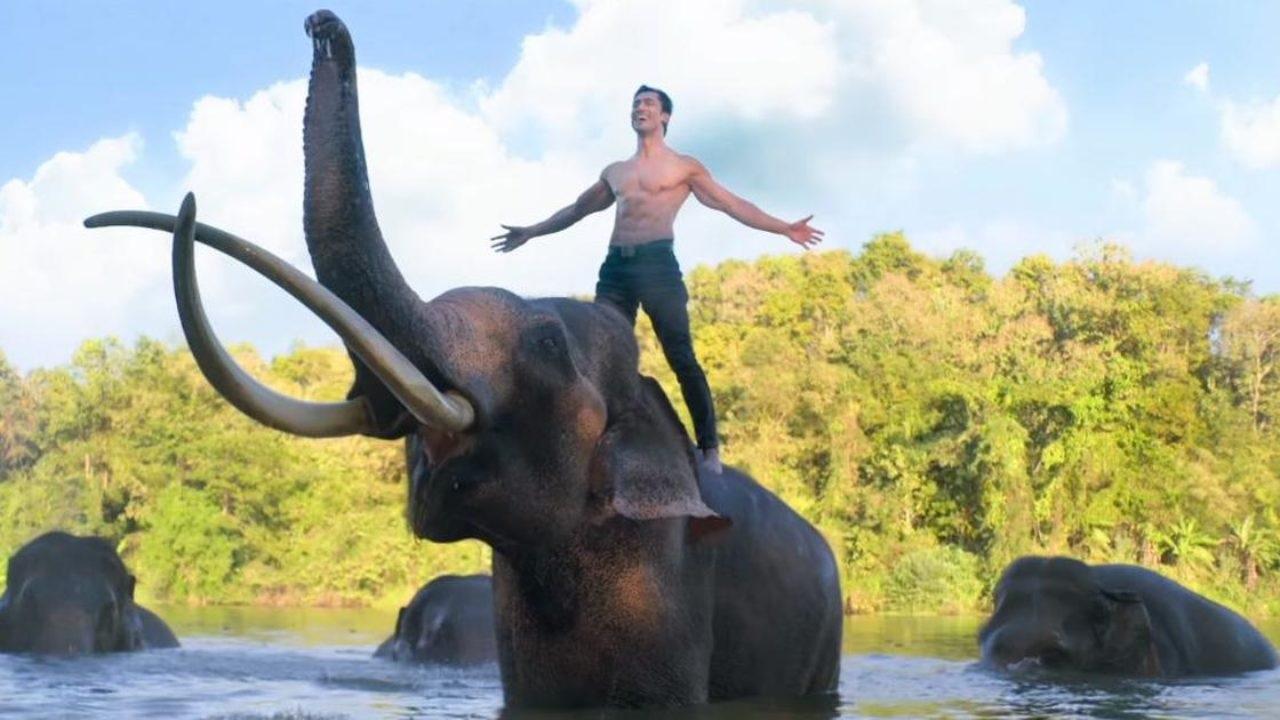 Junglee Wallpapers - Top Free Junglee Backgrounds - WallpaperAccess