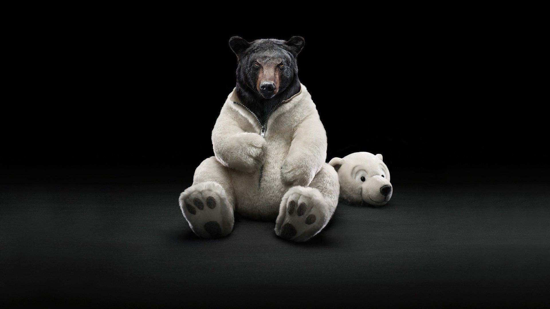 Funny Profile Wallpapers - Top Free Funny Profile Backgrounds ...