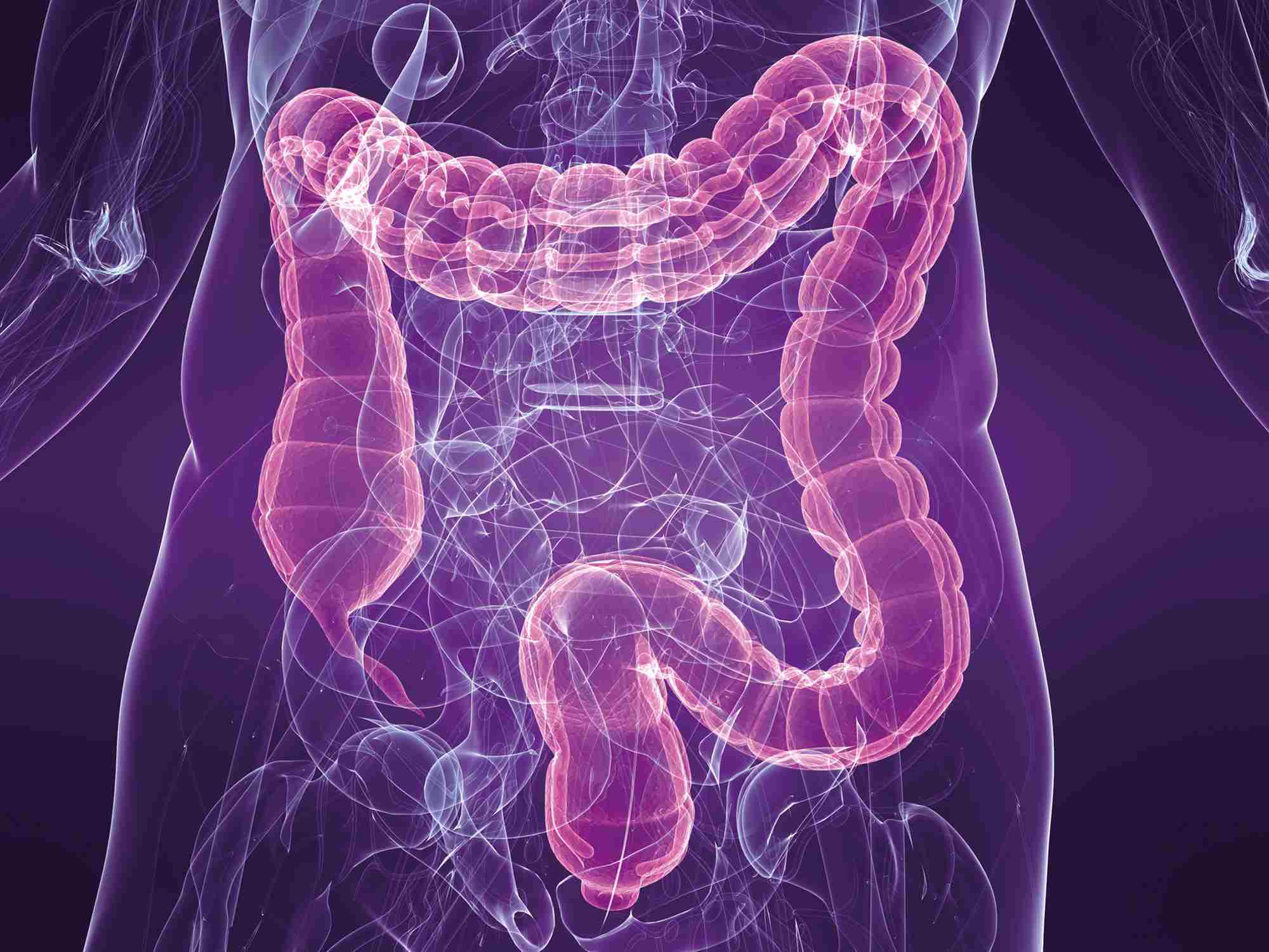 Endocrine Wallpapers - Top Free Endocrine Backgrounds - WallpaperAccess