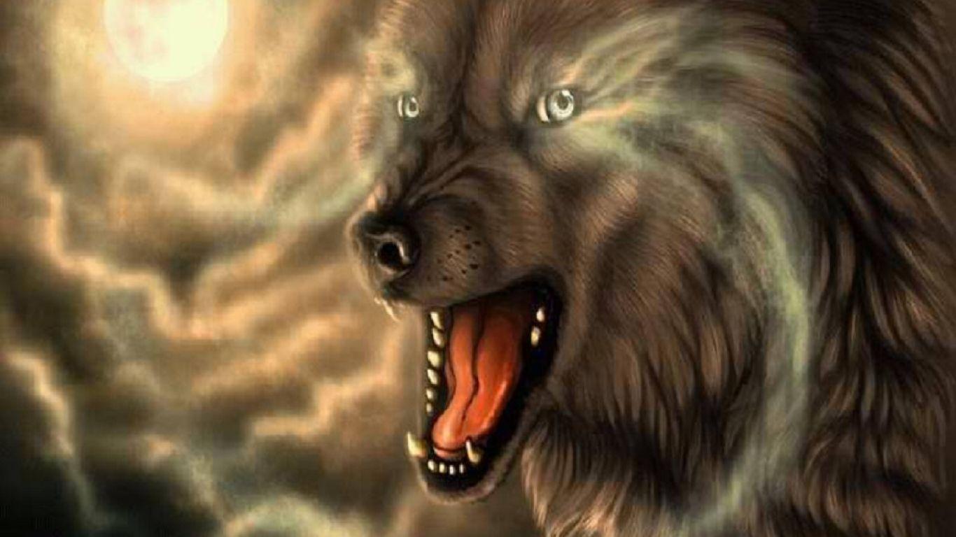 Magic Wolf Wallpapers - Top Free Magic Wolf Backgrounds - WallpaperAccess