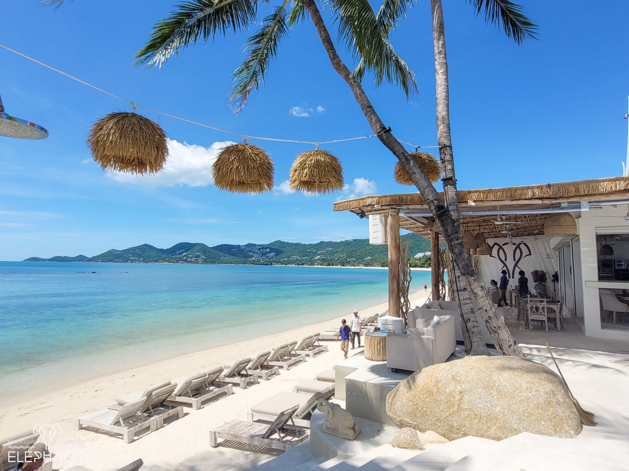 Beach Club Wallpapers - Top Free Beach Club Backgrounds - WallpaperAccess