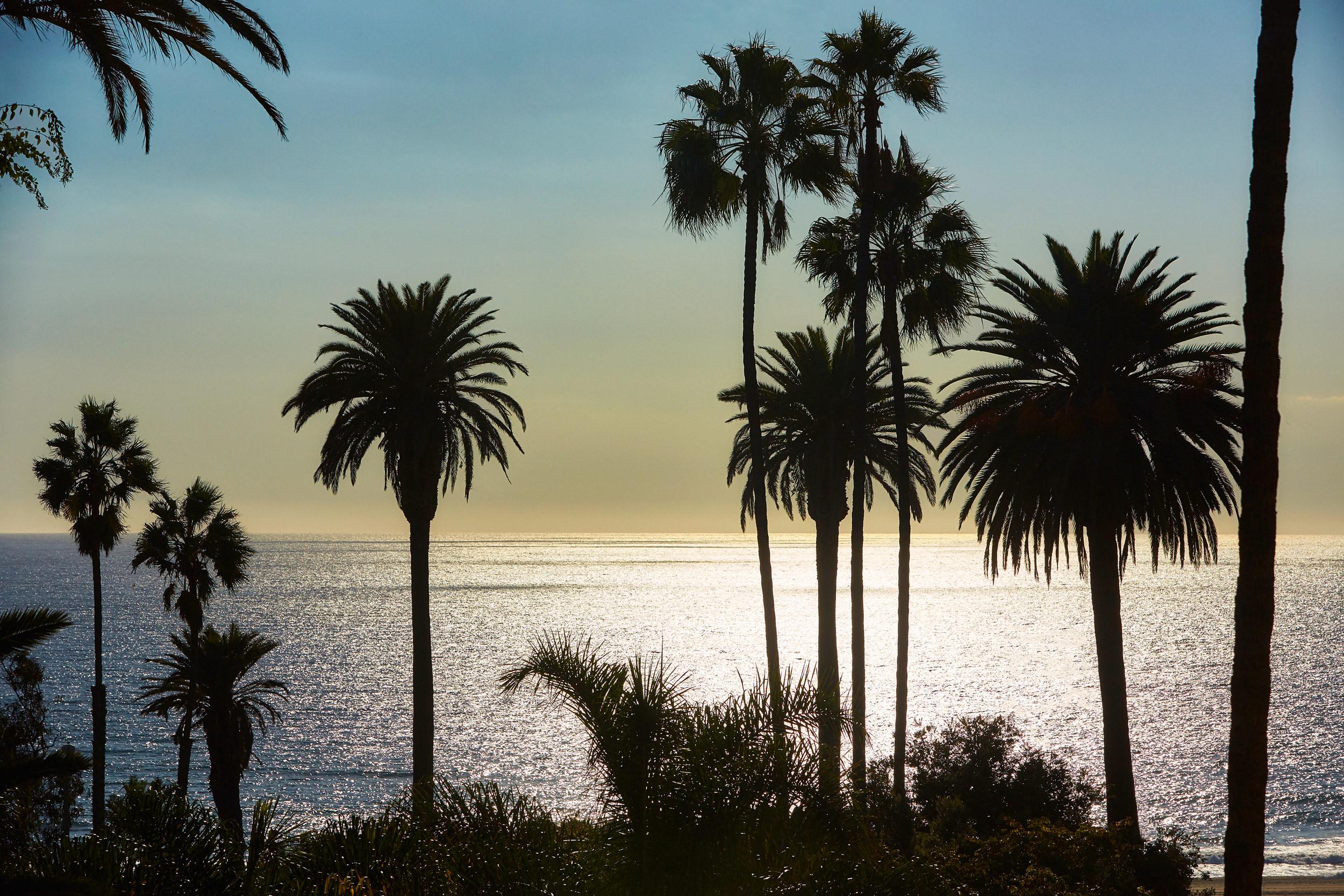 Beach Club Wallpapers - Top Free Beach Club Backgrounds - WallpaperAccess