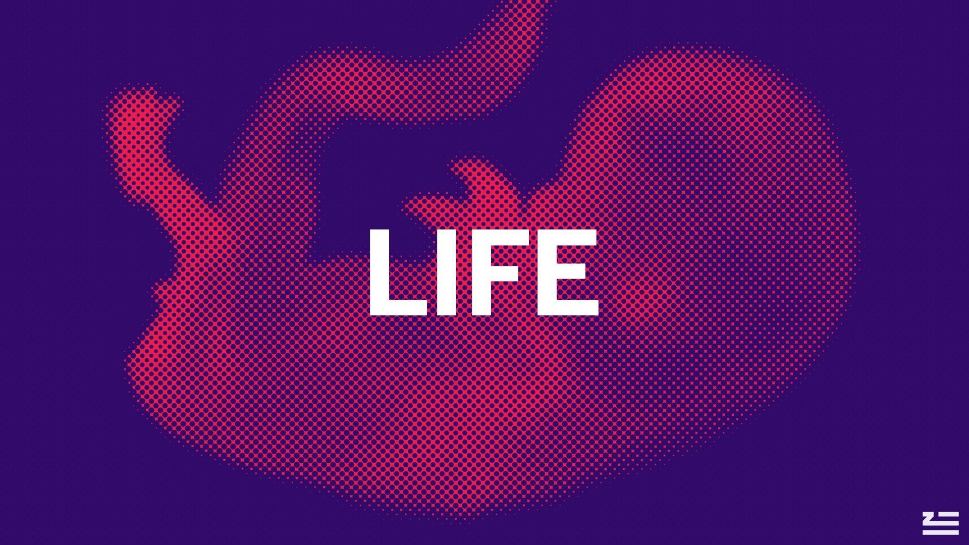 Embryo Wallpapers - Top Free Embryo Backgrounds - WallpaperAccess