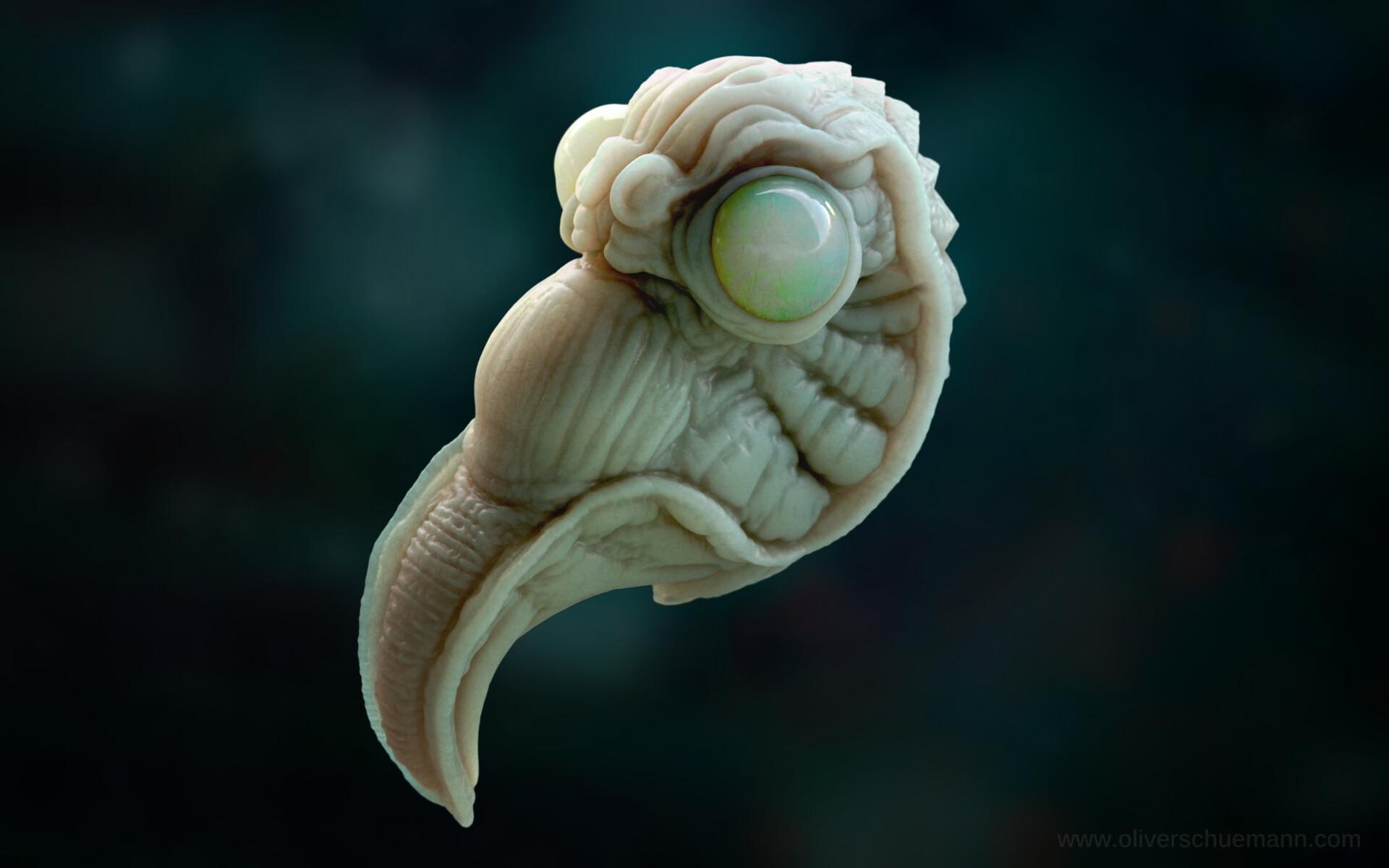 Embryo Wallpapers - Top Free Embryo Backgrounds - WallpaperAccess