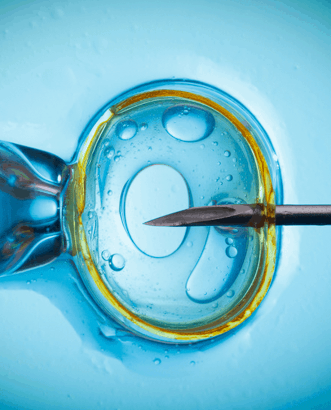 Embryo Wallpapers - Top Free Embryo Backgrounds - WallpaperAccess