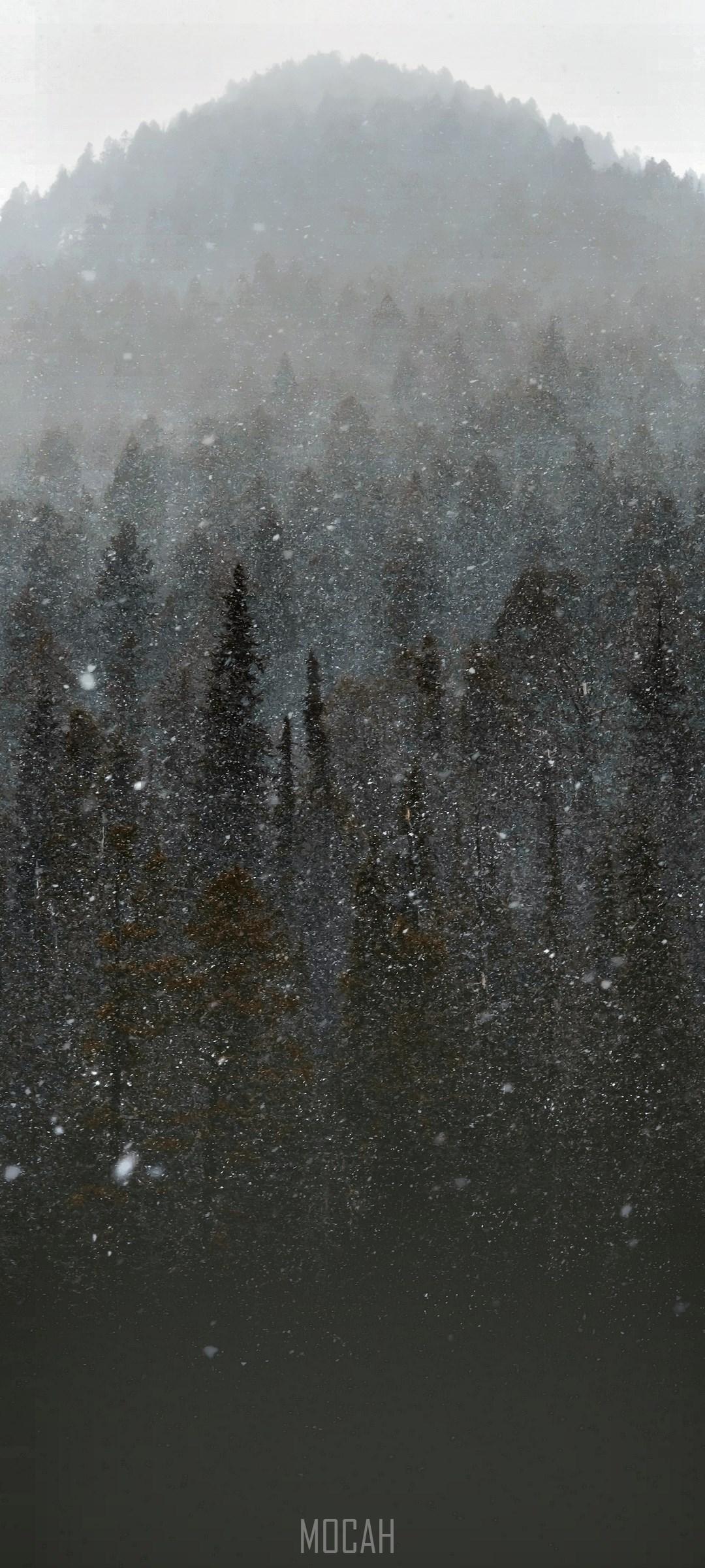 Drizzle Wallpapers - Top Free Drizzle Backgrounds - WallpaperAccess