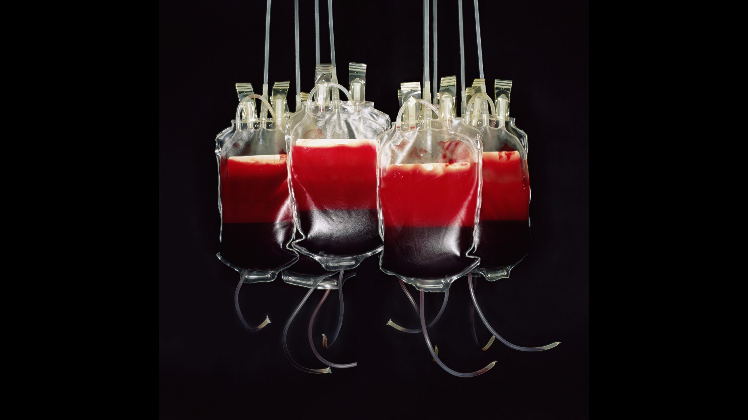 Blood Bank Wallpapers - Top Free Blood Bank Backgrounds - WallpaperAccess