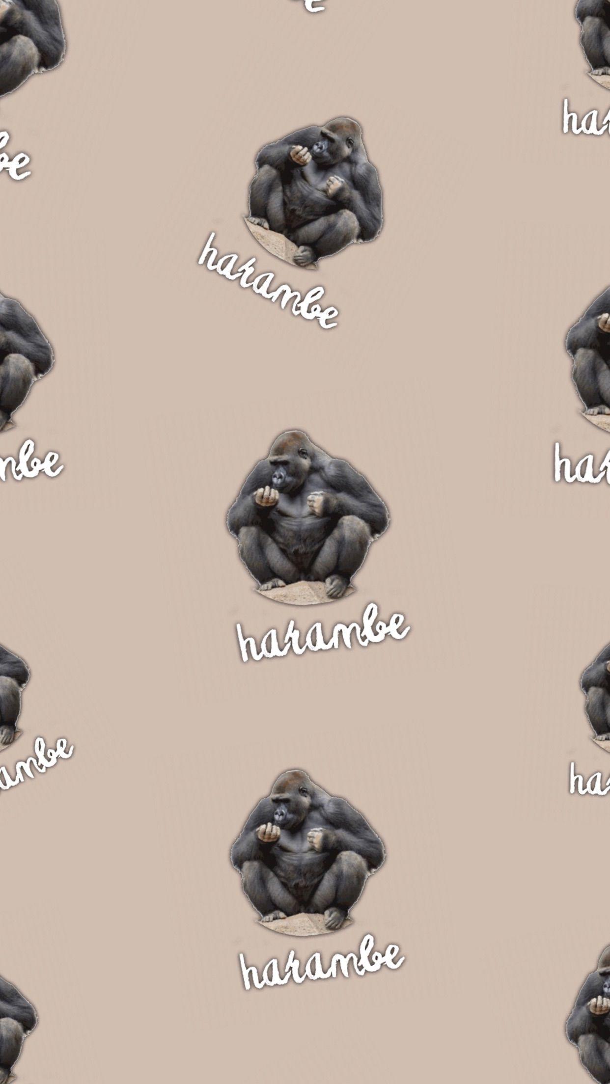Harambe Wallpapers - Top Free Harambe Backgrounds - WallpaperAccess