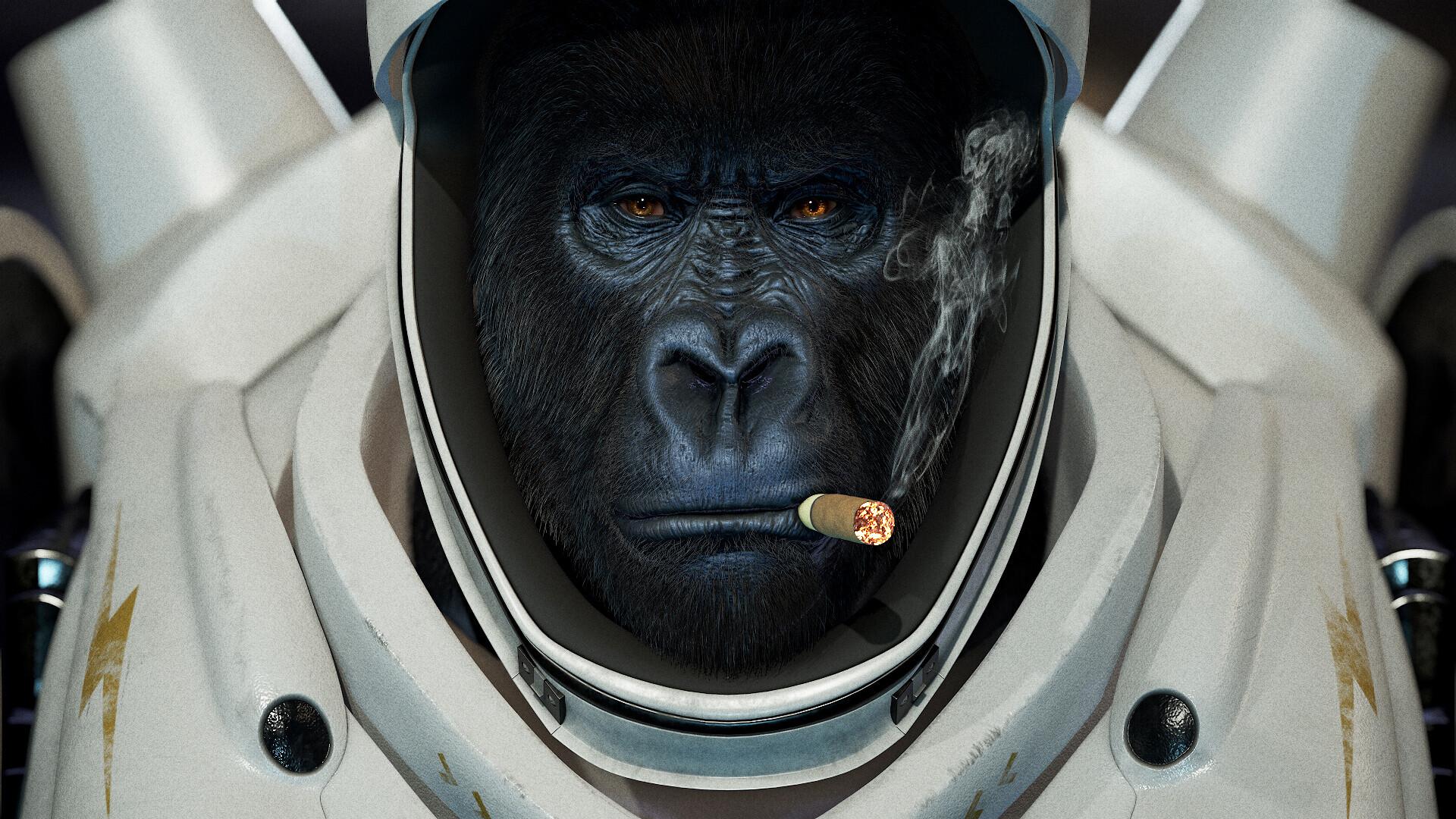 Harambe Wallpapers - Top Free Harambe Backgrounds - WallpaperAccess