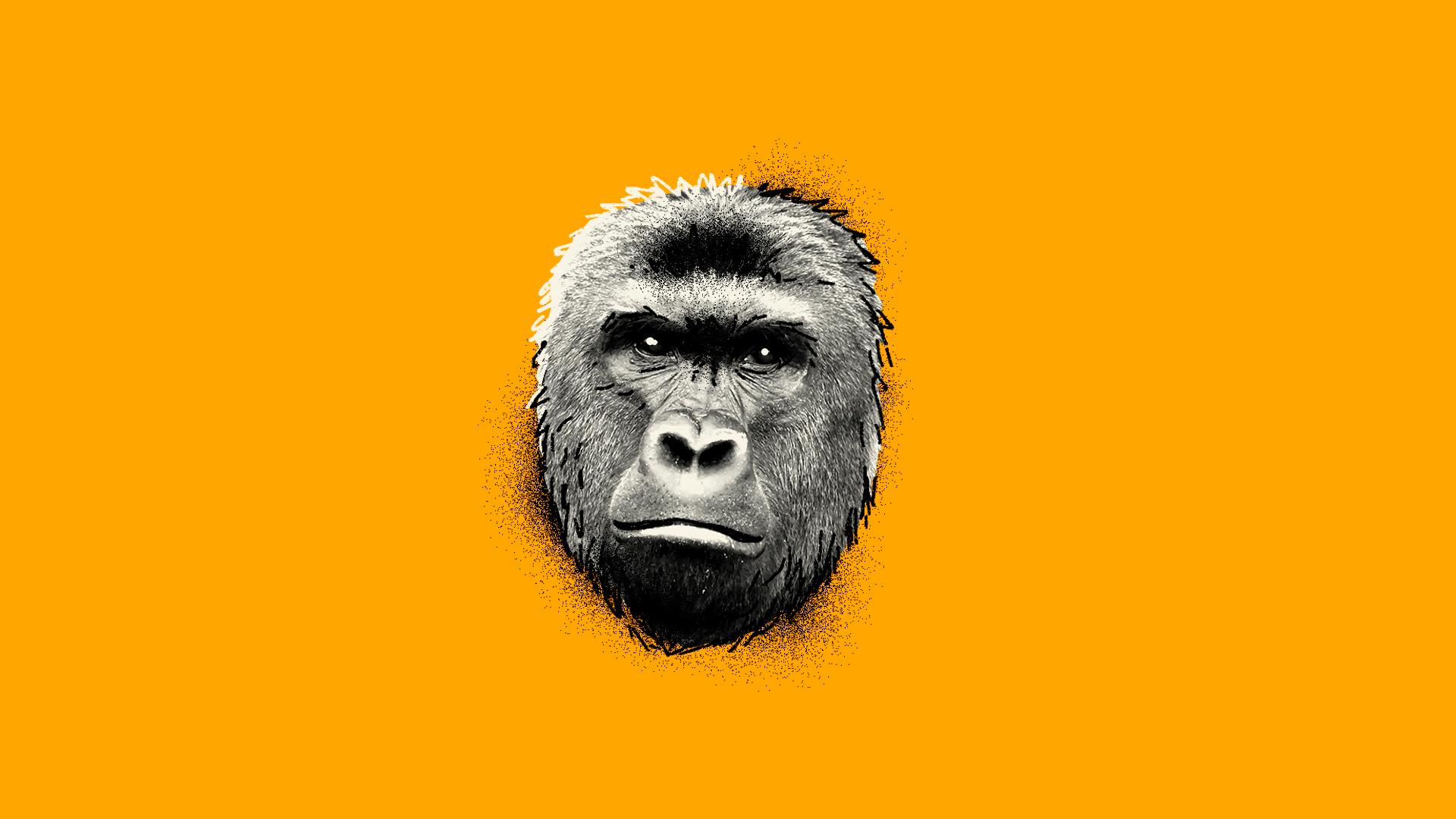 Harambe Wallpapers - Top Free Harambe Backgrounds - WallpaperAccess