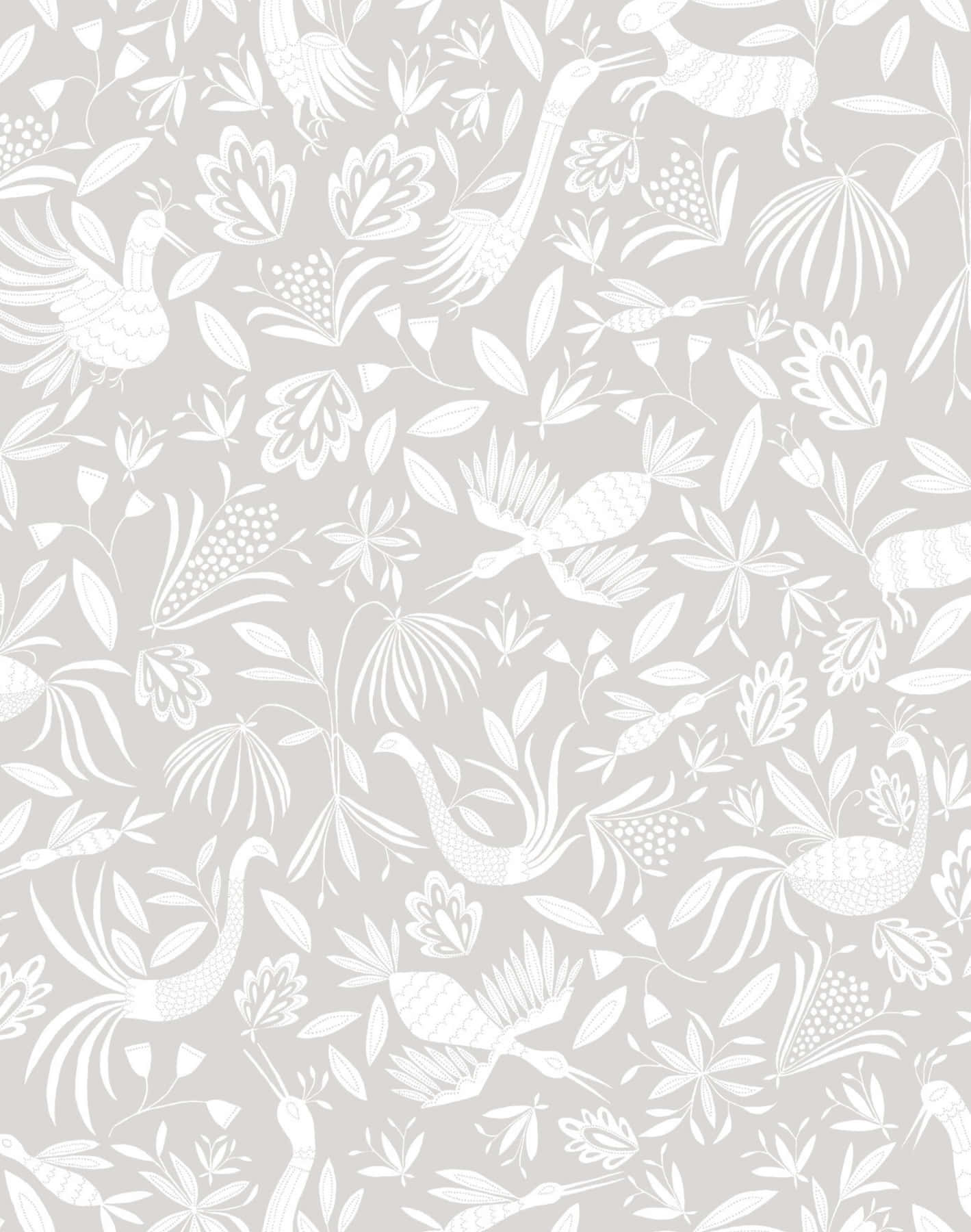 Texter Wallpapers - Top Free Texter Backgrounds - WallpaperAccess