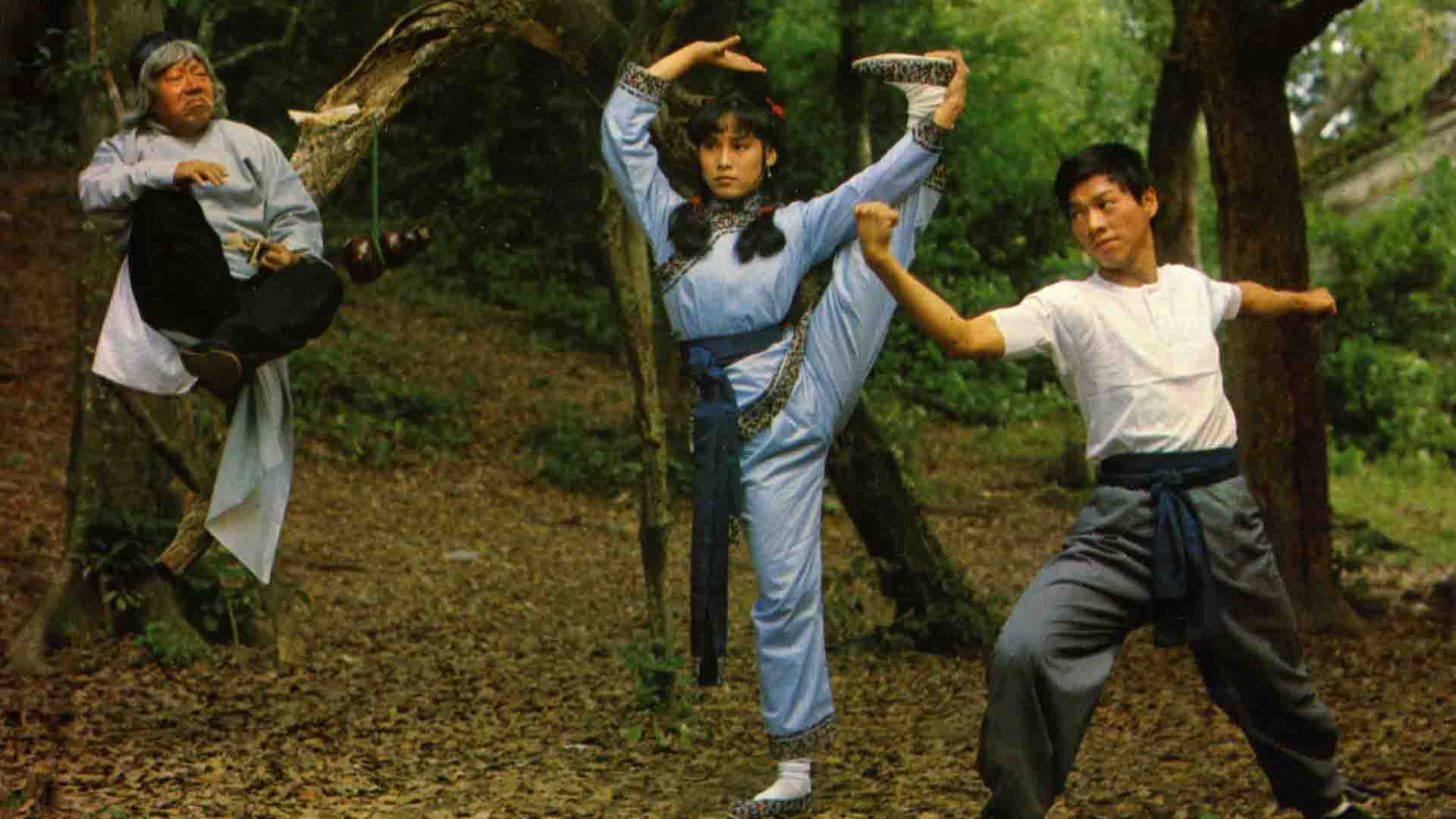 Drunken Master Wallpapers - Top Free Drunken Master Backgrounds ...