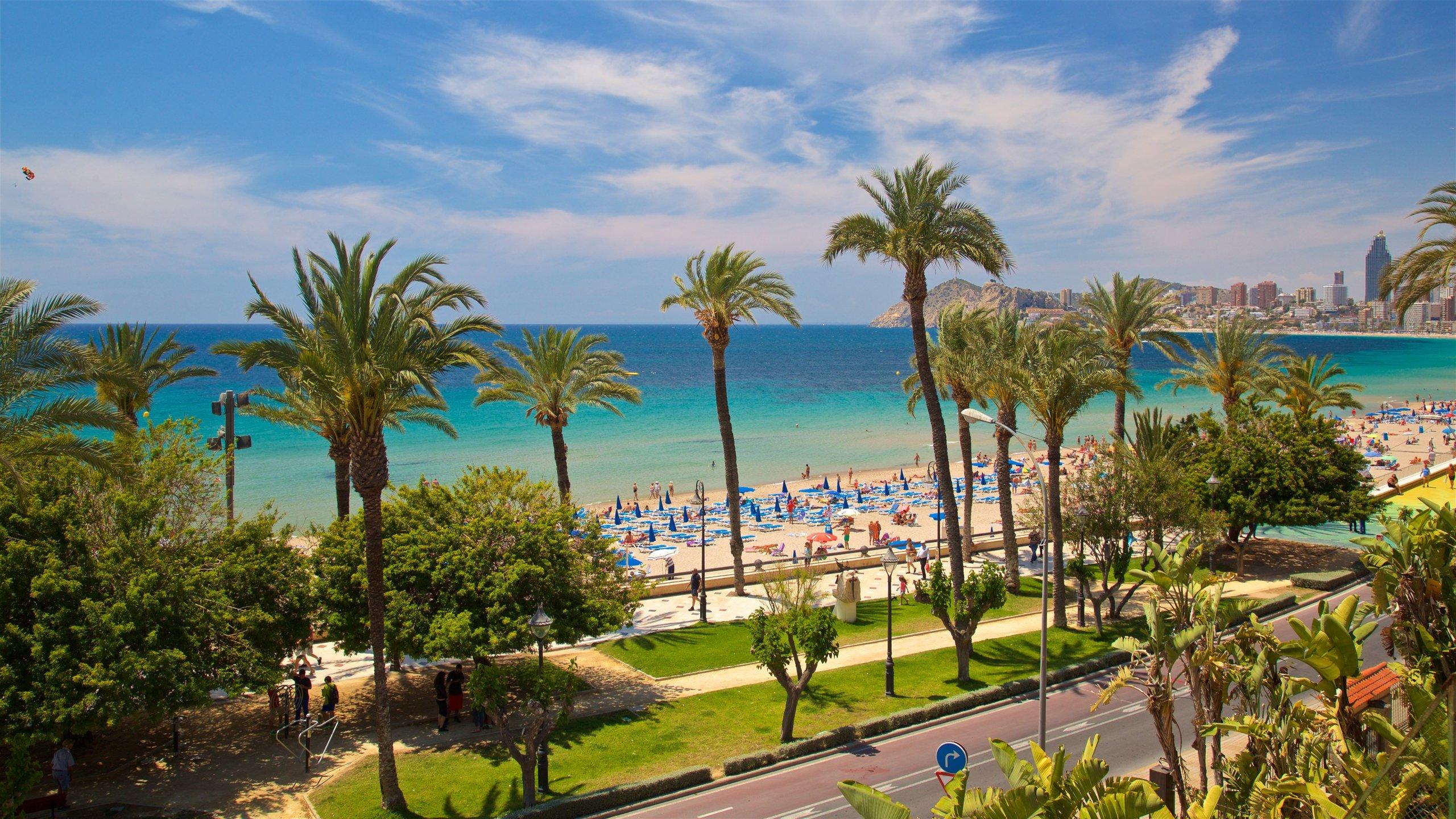 Benidorm Wallpapers - Top Free Benidorm Backgrounds - WallpaperAccess