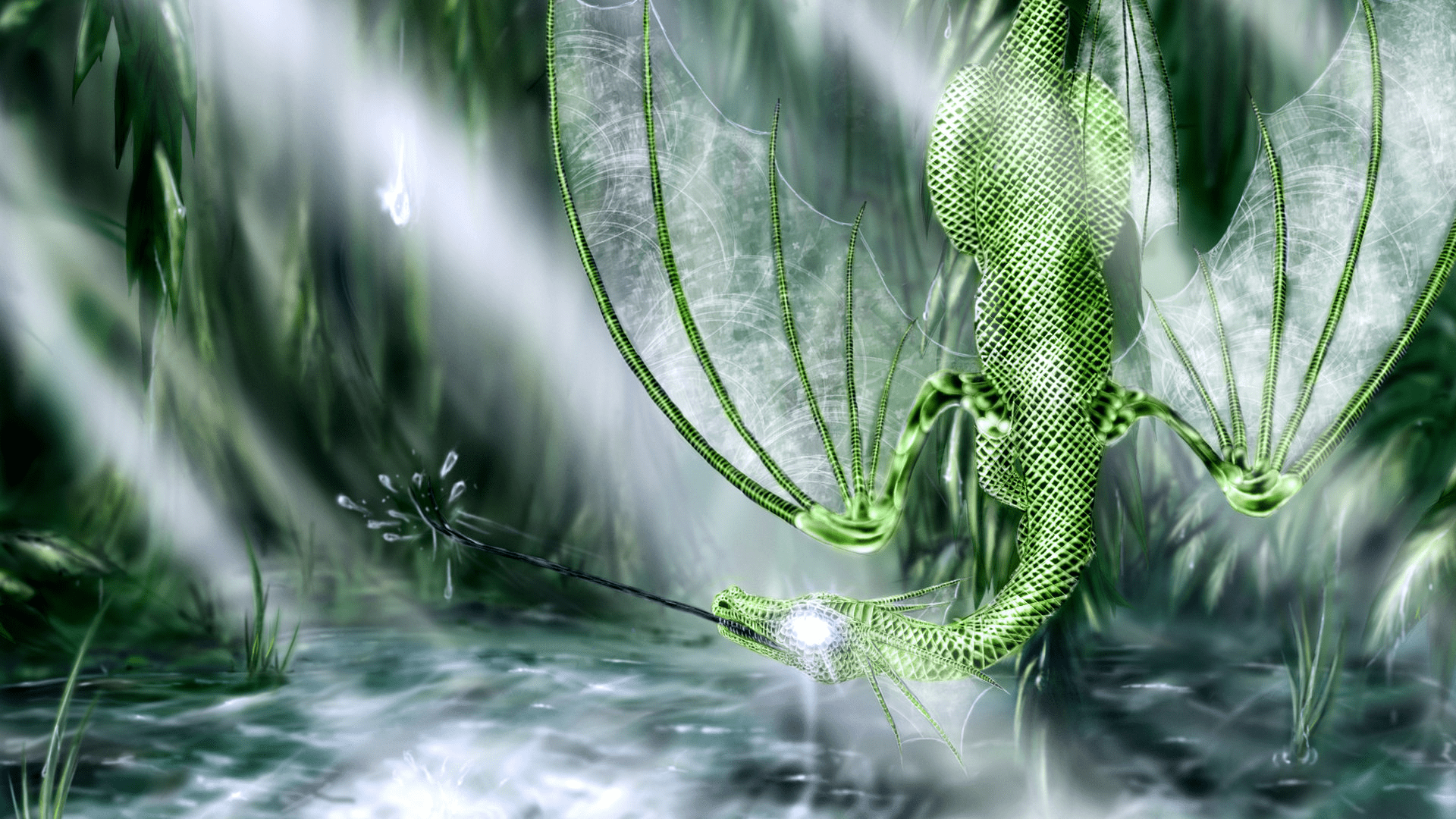 Fantasy Dragon Wallpapers - Top Free Fantasy Dragon Backgrounds ...
