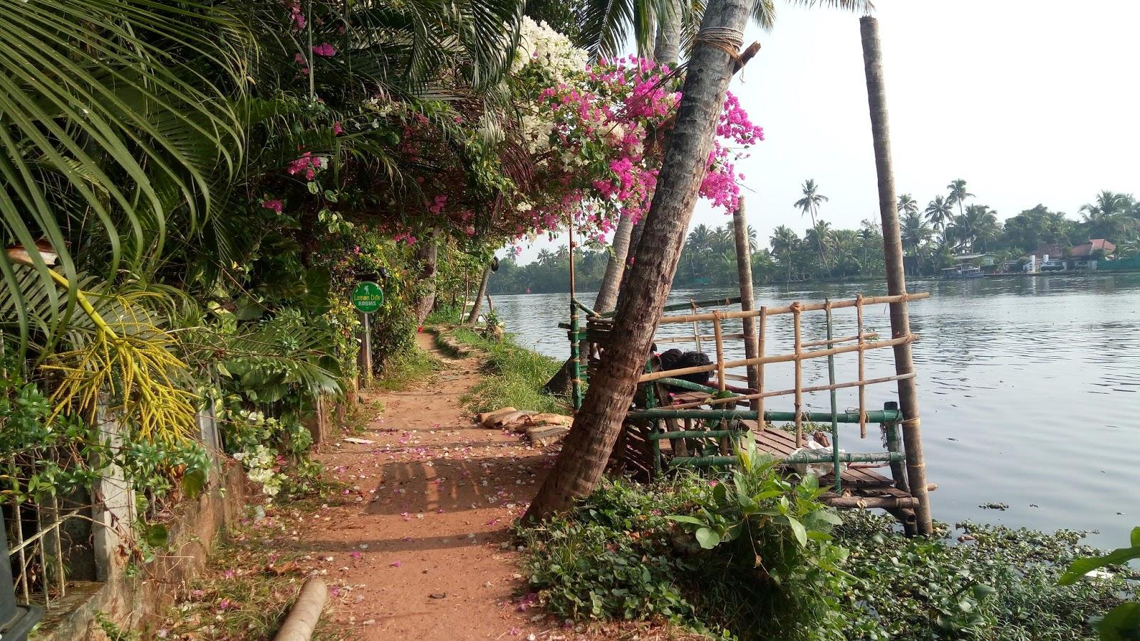 Vinnie Thandi Varuvaya Wallpapers - Top Free Vinnie Thandi Varuvaya ...