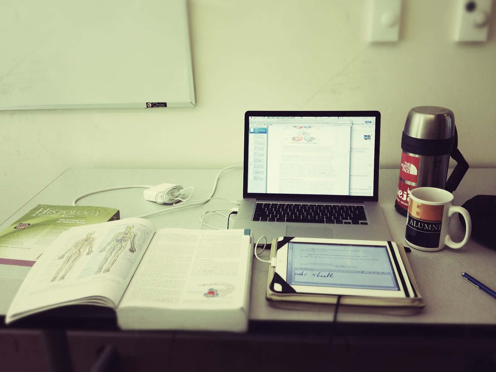 Study Time Wallpapers - Top Free Study Time Backgrounds - WallpaperAccess