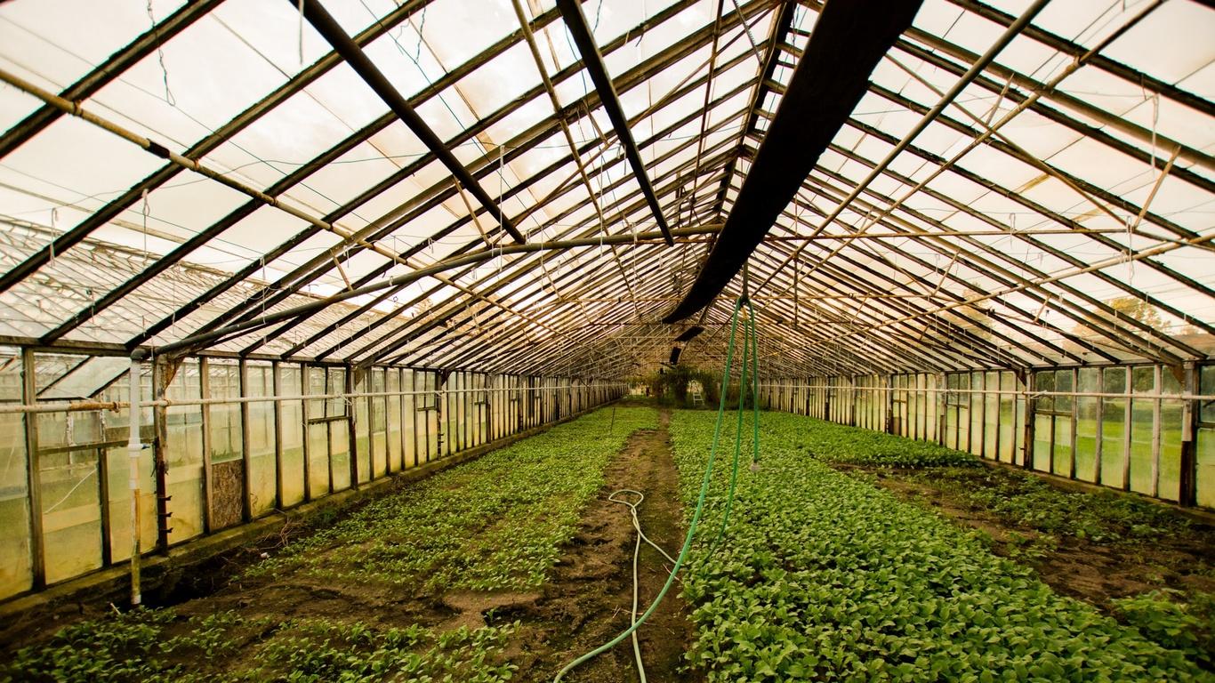 Horticulture Wallpapers - Top Free Horticulture Backgrounds ...