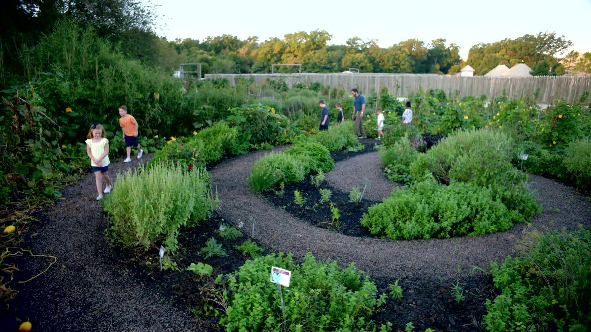 Horticulture Wallpapers - Top Free Horticulture Backgrounds ...