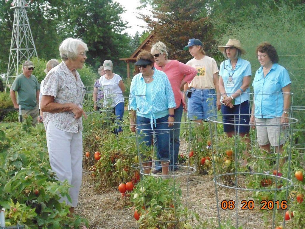 Horticulture Wallpapers - Top Free Horticulture Backgrounds ...