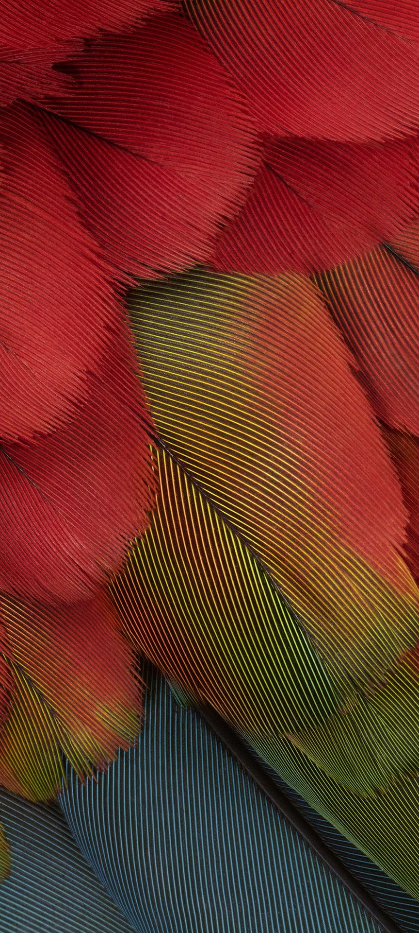 Pixel Experience Wallpapers - Top Free Pixel Experience Backgrounds ...
