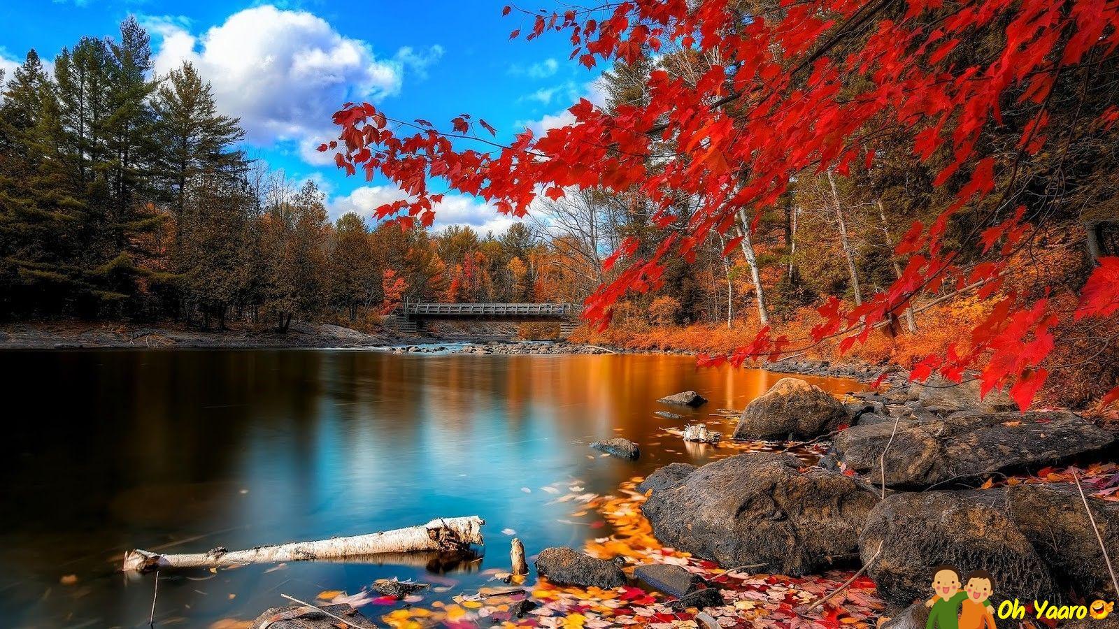 Post It Wallpapers - Top Free Post It Backgrounds - WallpaperAccess