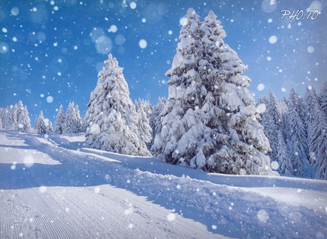 Winter Fun Wallpapers - Top Free Winter Fun Backgrounds - WallpaperAccess