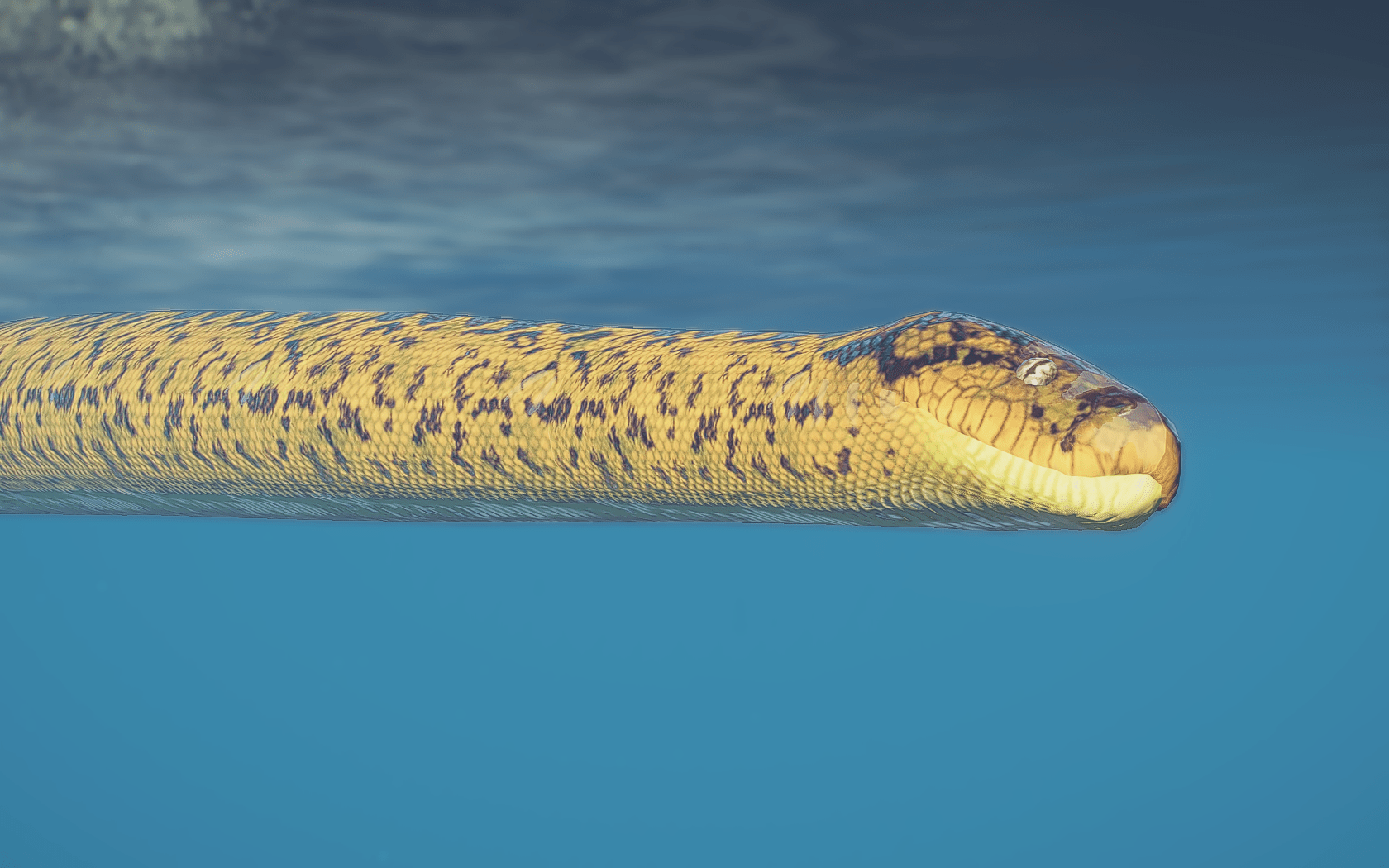 Titanoboa Wallpapers - Top Free Titanoboa Backgrounds - WallpaperAccess