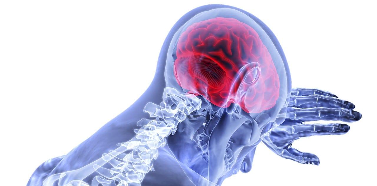 Endocrine Wallpapers - Top Free Endocrine Backgrounds - WallpaperAccess