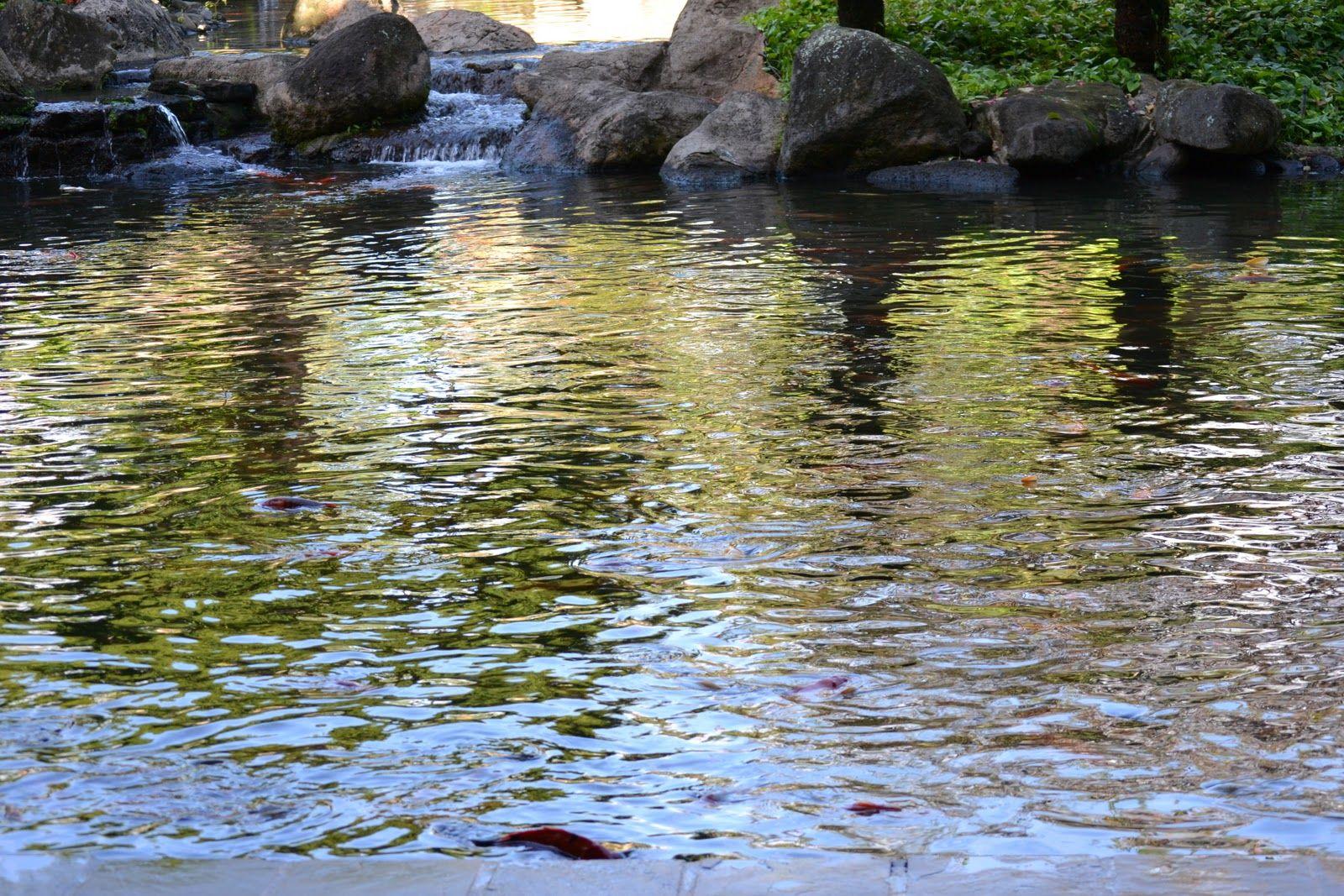 Koi Pond Wallpapers - Top Free Koi Pond Backgrounds - WallpaperAccess