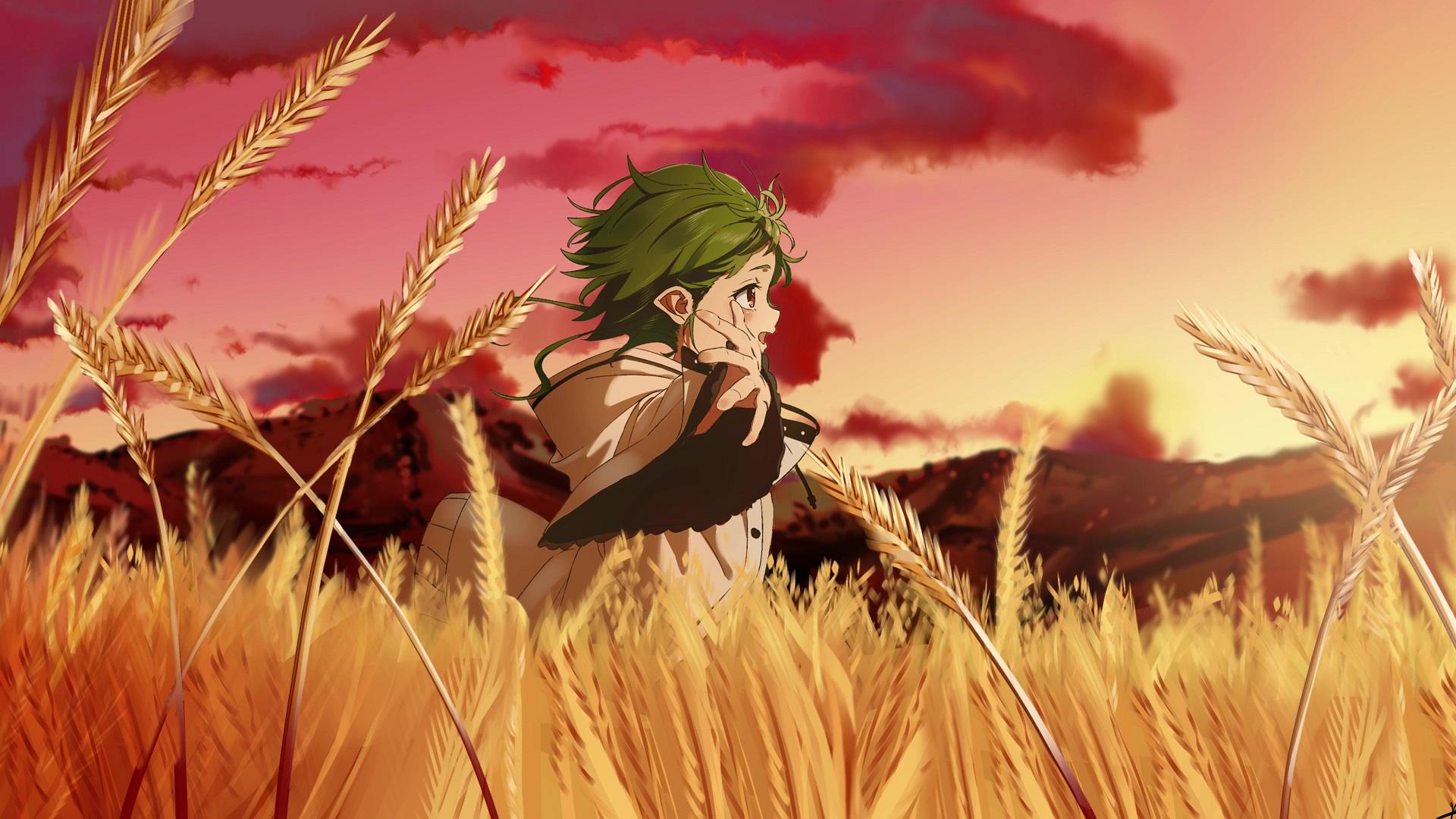 Mushuko Tensei Wallpapers - Top Free Mushuko Tensei Backgrounds ...