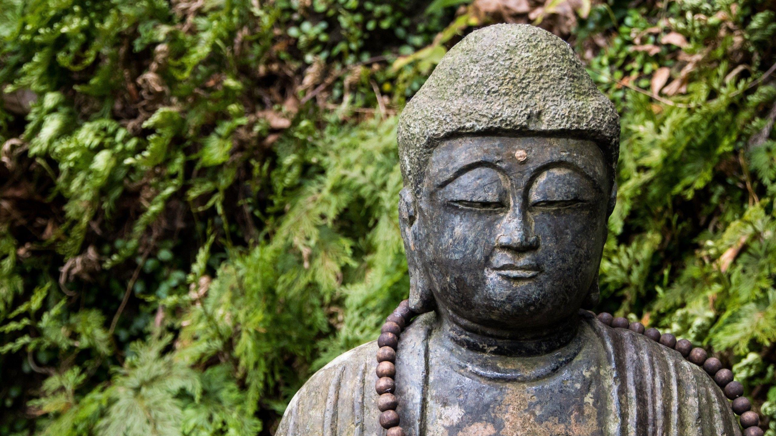 Dharma Desktop Wallpapers - Top Free Dharma Desktop Backgrounds ...