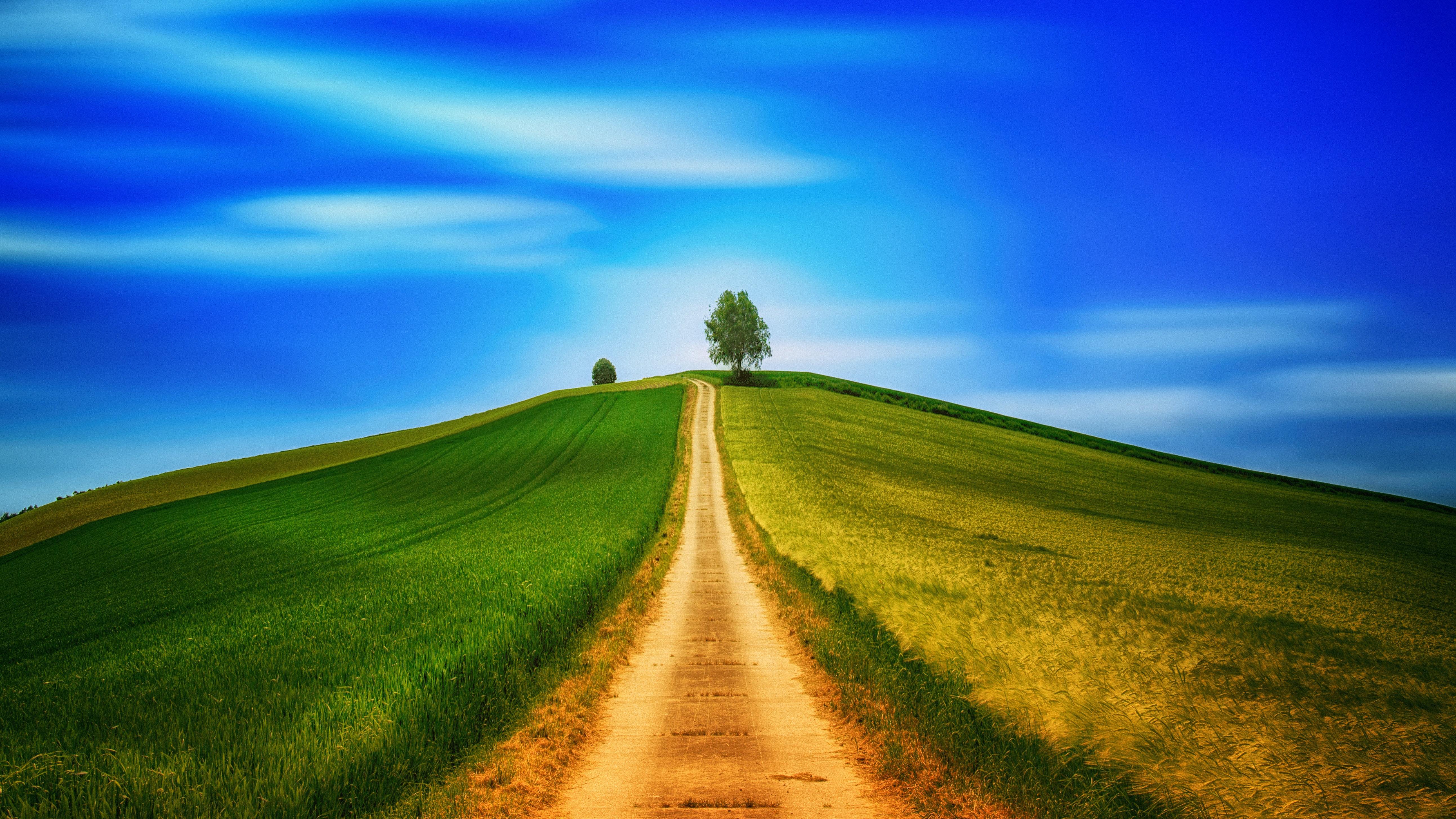 Green Area Wallpapers - Top Free Green Area Backgrounds - WallpaperAccess