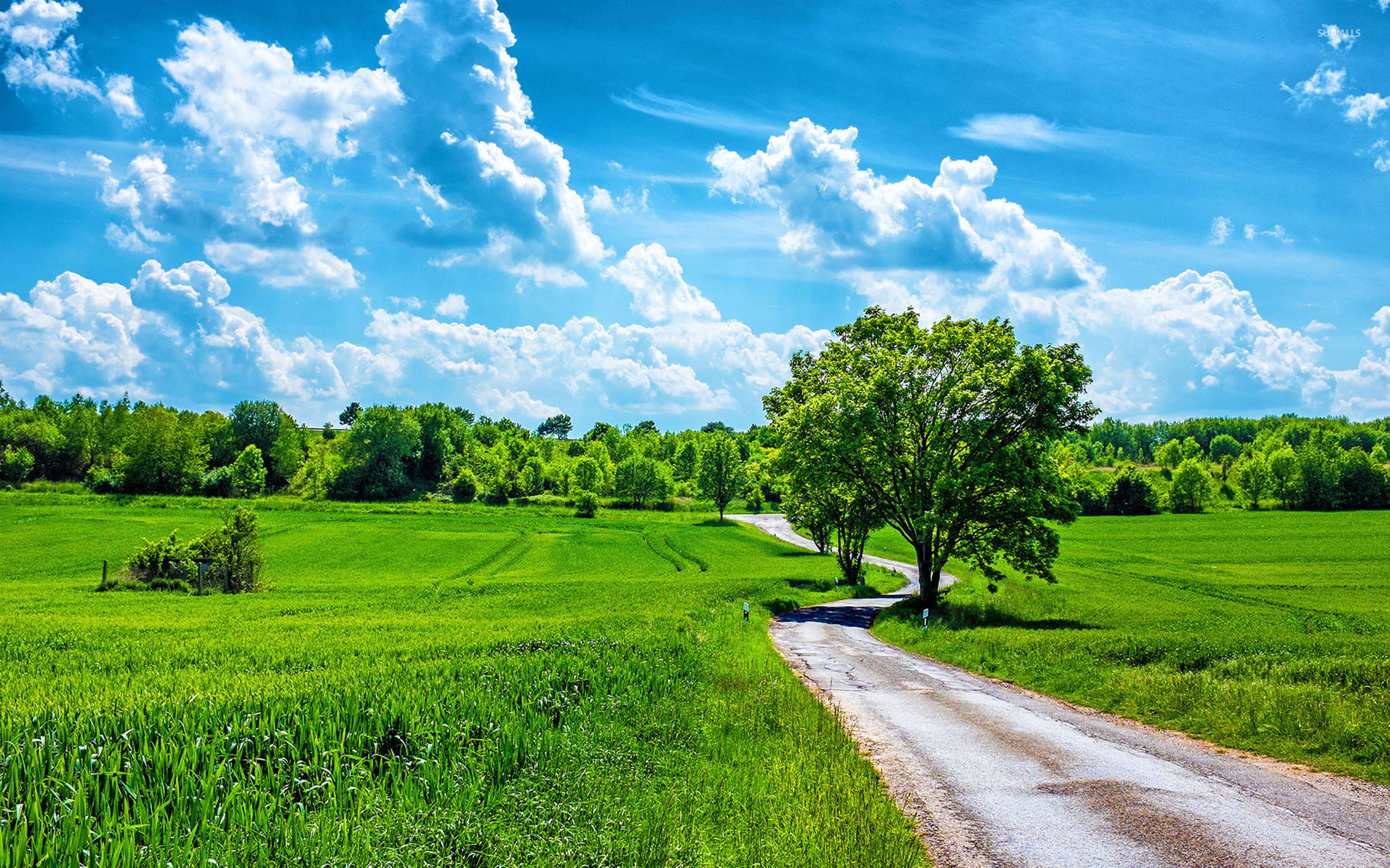Green Area Wallpapers - Top Free Green Area Backgrounds - WallpaperAccess