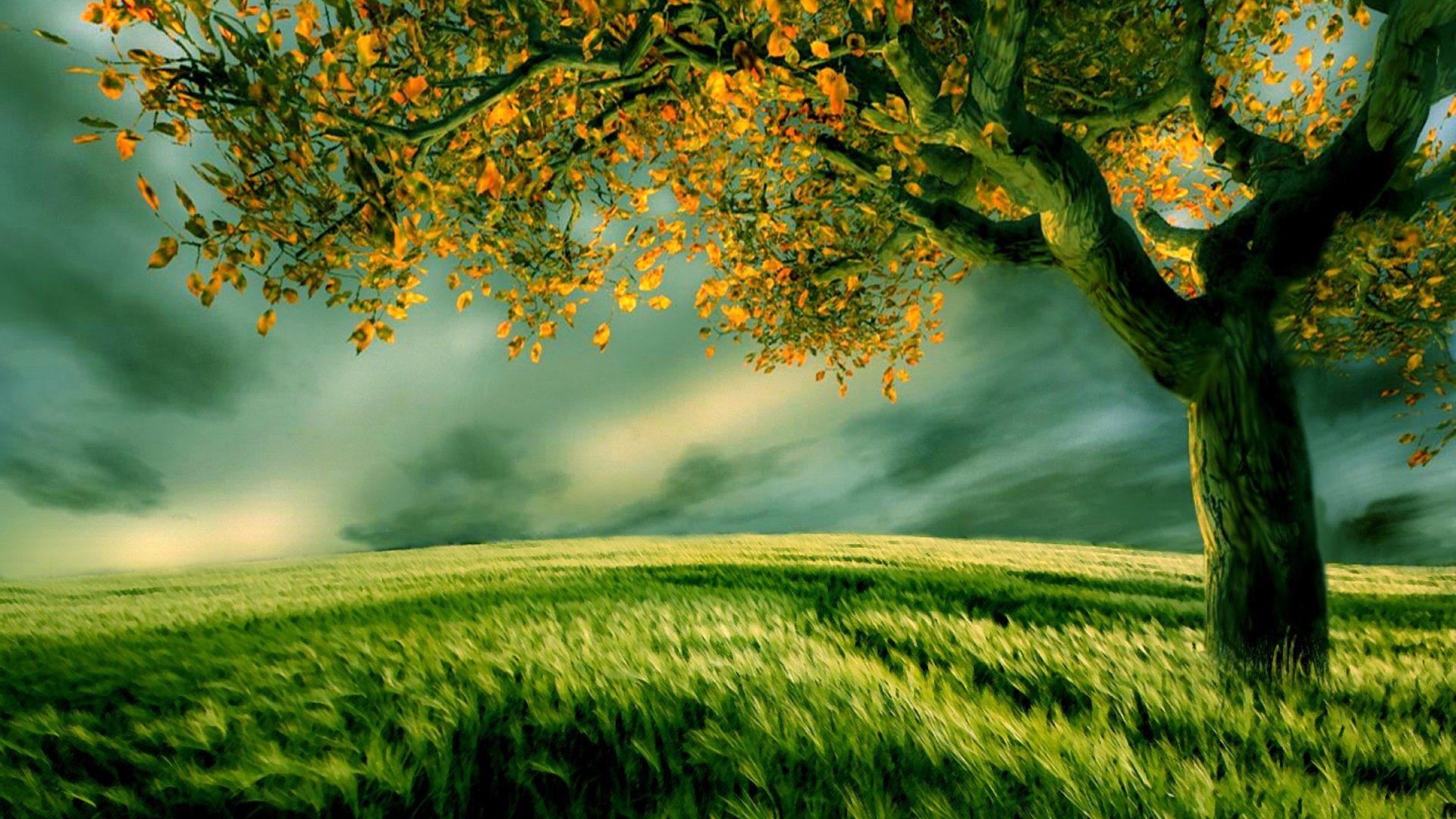 Green Area Wallpapers - Top Free Green Area Backgrounds - WallpaperAccess