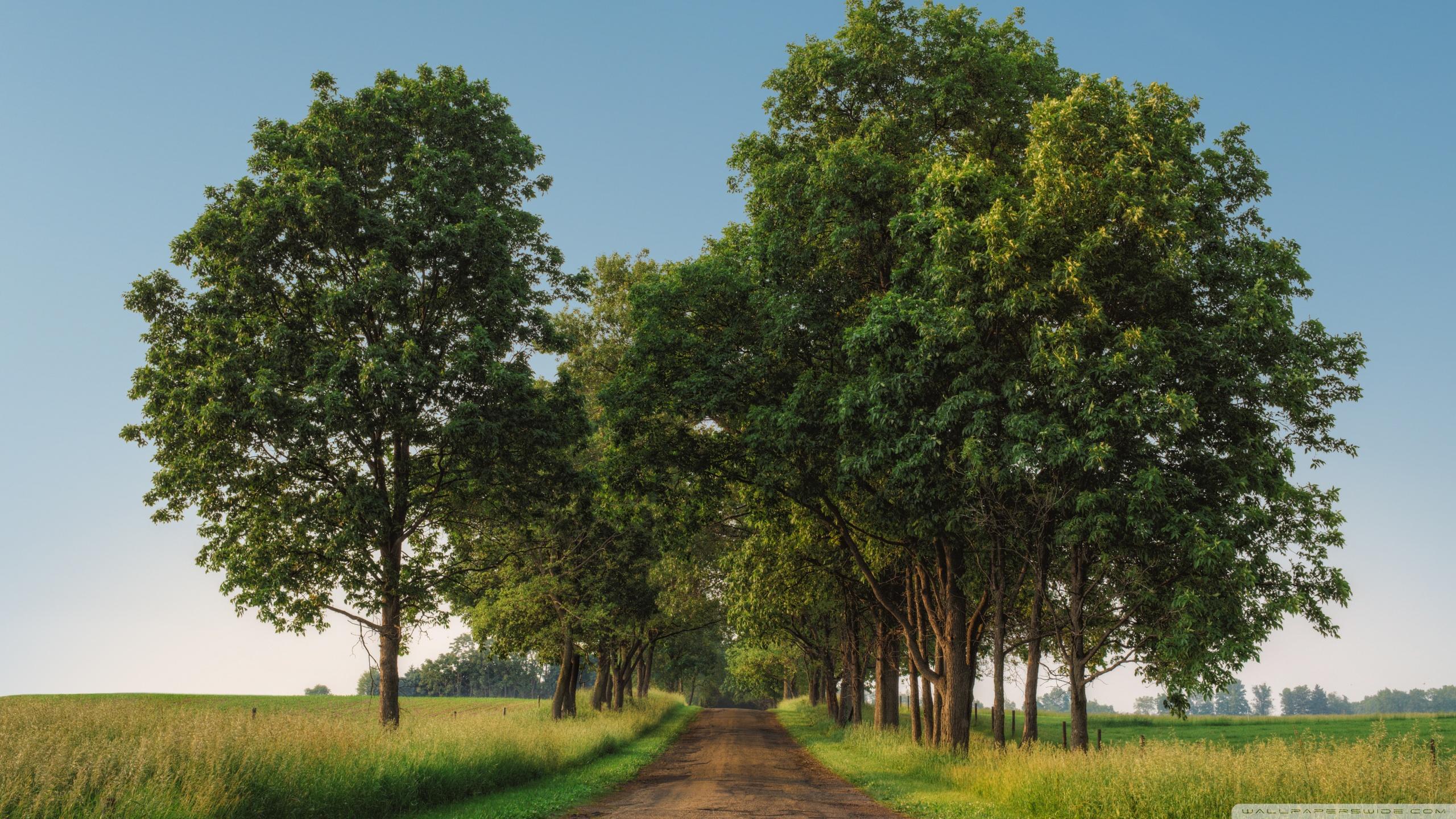 Green Area Wallpapers - Top Free Green Area Backgrounds - WallpaperAccess