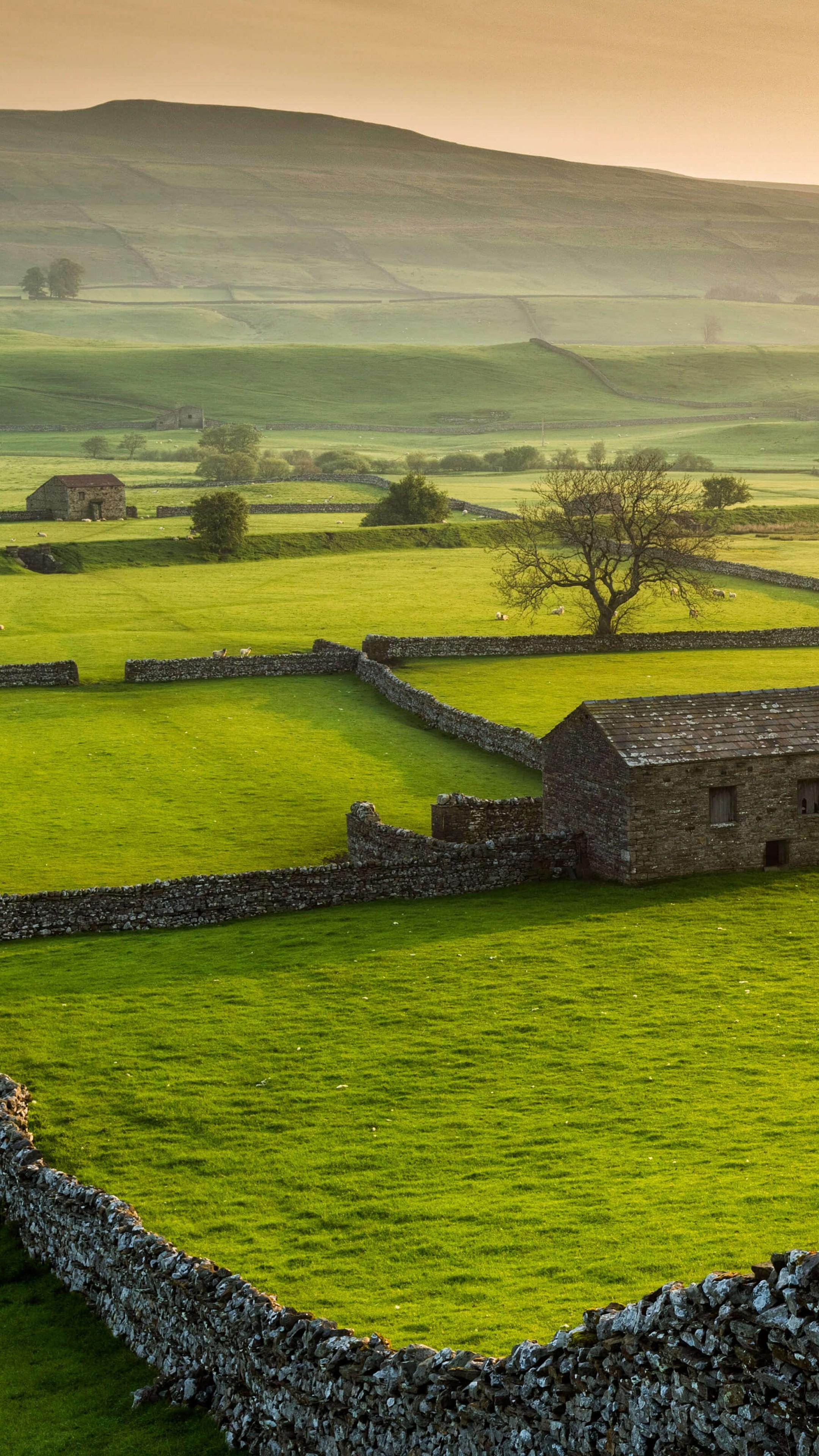 Green Area Wallpapers - Top Free Green Area Backgrounds - WallpaperAccess