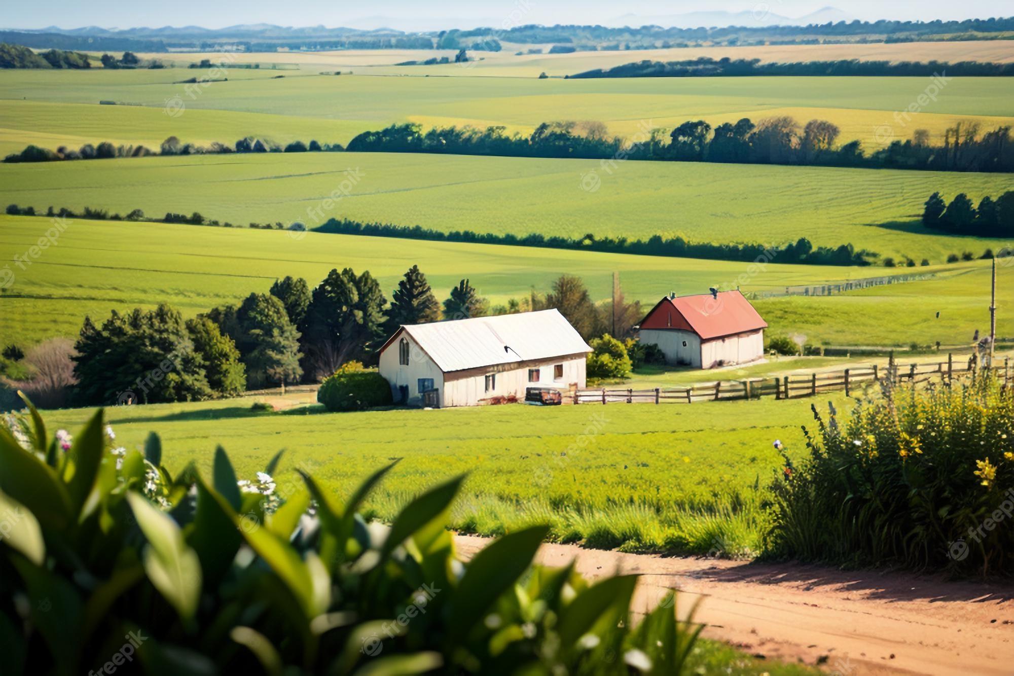 Green Area Wallpapers - Top Free Green Area Backgrounds - WallpaperAccess