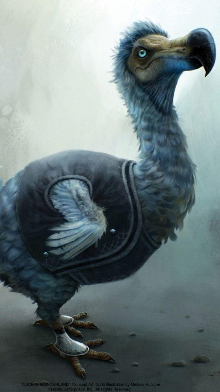 Dodo Wallpapers - Top Free Dodo Backgrounds - WallpaperAccess