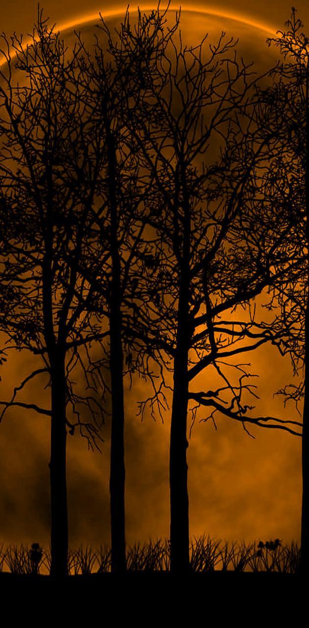 Golden Moon Wallpapers - Top Free Golden Moon Backgrounds - WallpaperAccess