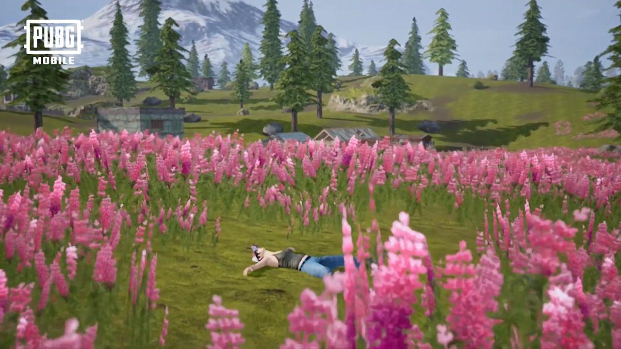 Livik Wallpapers - Top Free Livik Backgrounds - WallpaperAccess