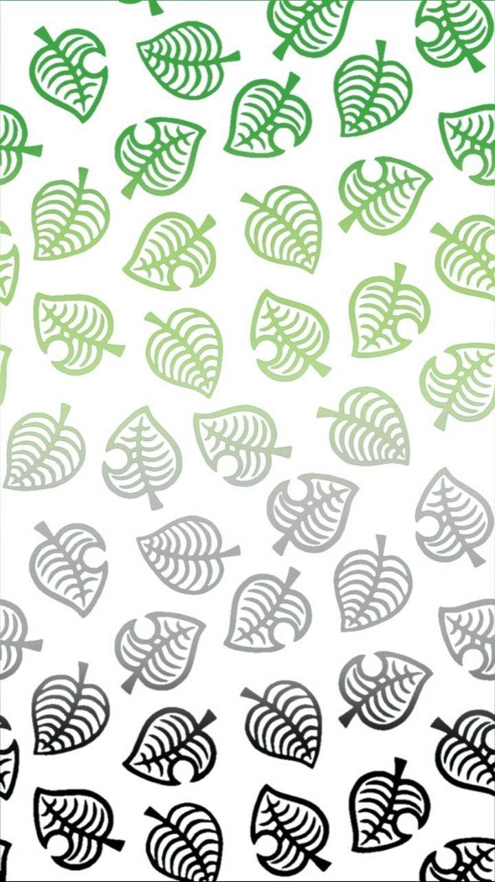 Aromantic Wallpapers - Top Free Aromantic Backgrounds - WallpaperAccess