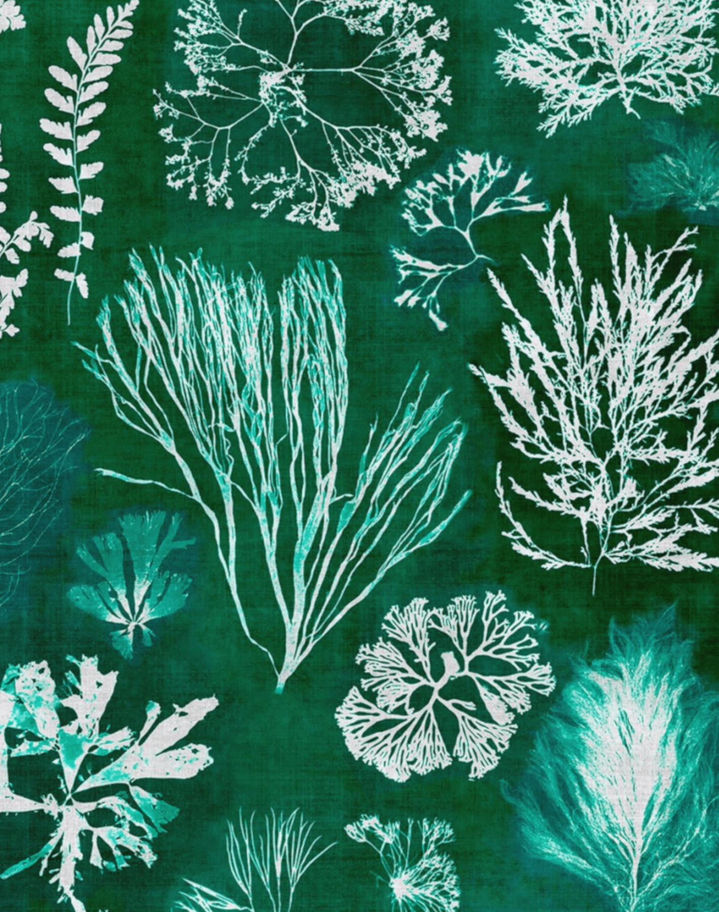 Eco Friendly Wallpapers - Top Free Eco Friendly Backgrounds ...