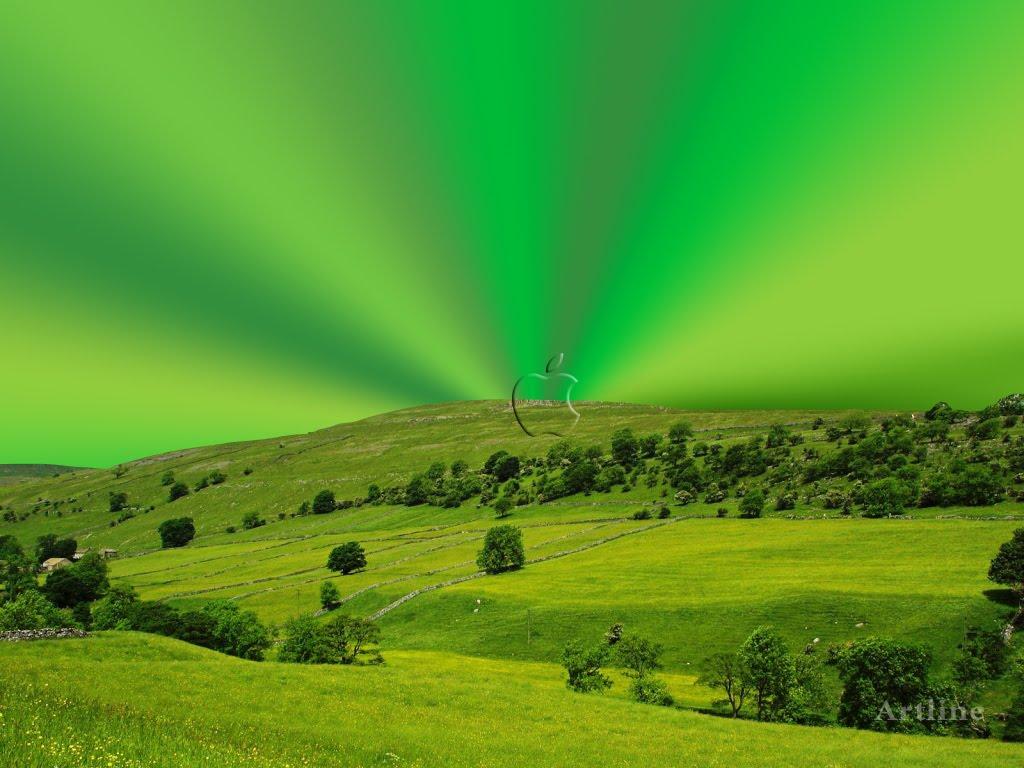 Eco Friendly Wallpapers - Top Free Eco Friendly Backgrounds ...