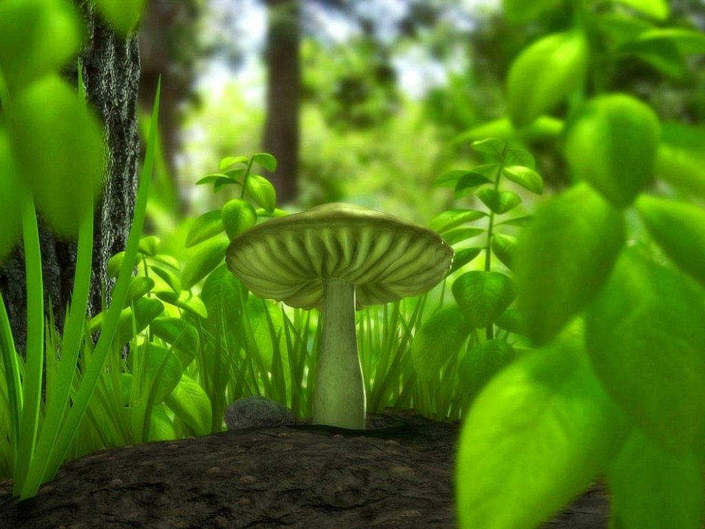 Eco Friendly Wallpapers - Top Free Eco Friendly Backgrounds ...