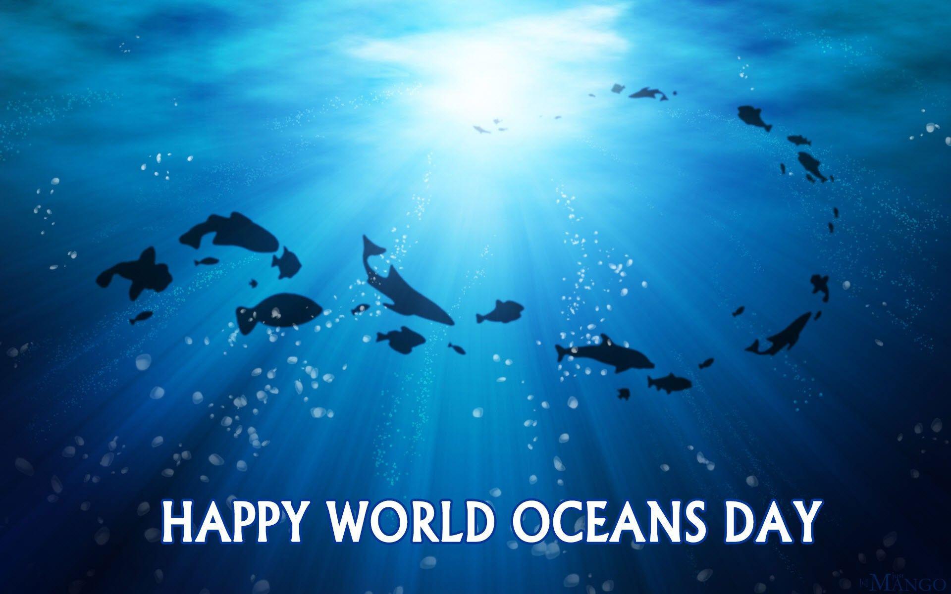 World Oceans Day Wallpapers - Top Free World Oceans Day Backgrounds ...