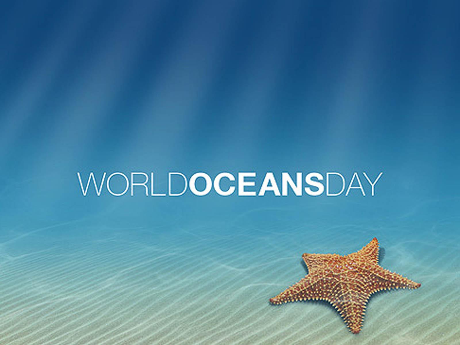 World Oceans Day Wallpapers - Top Free World Oceans Day Backgrounds ...