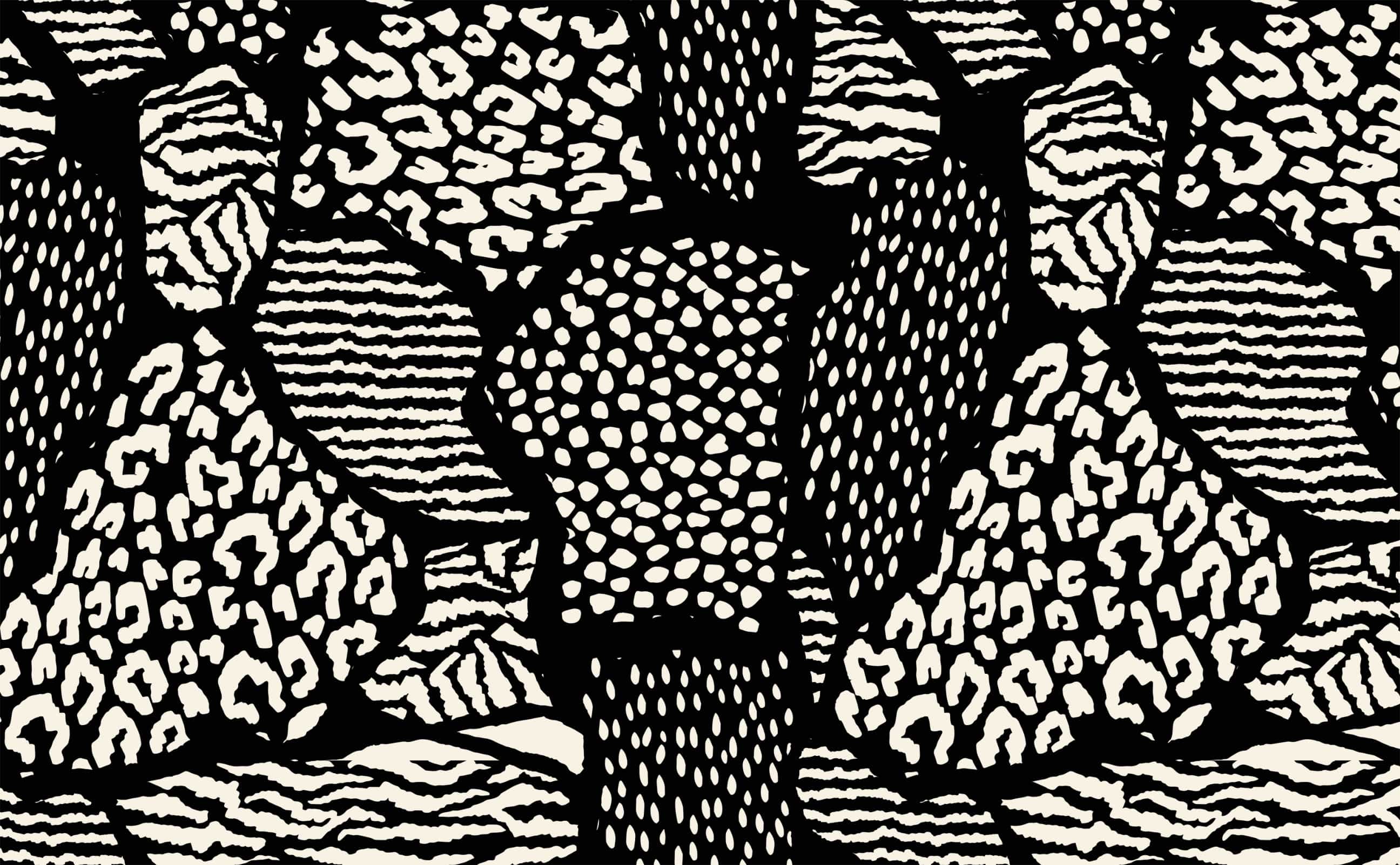 Statement Wallpapers - Top Free Statement Backgrounds - WallpaperAccess